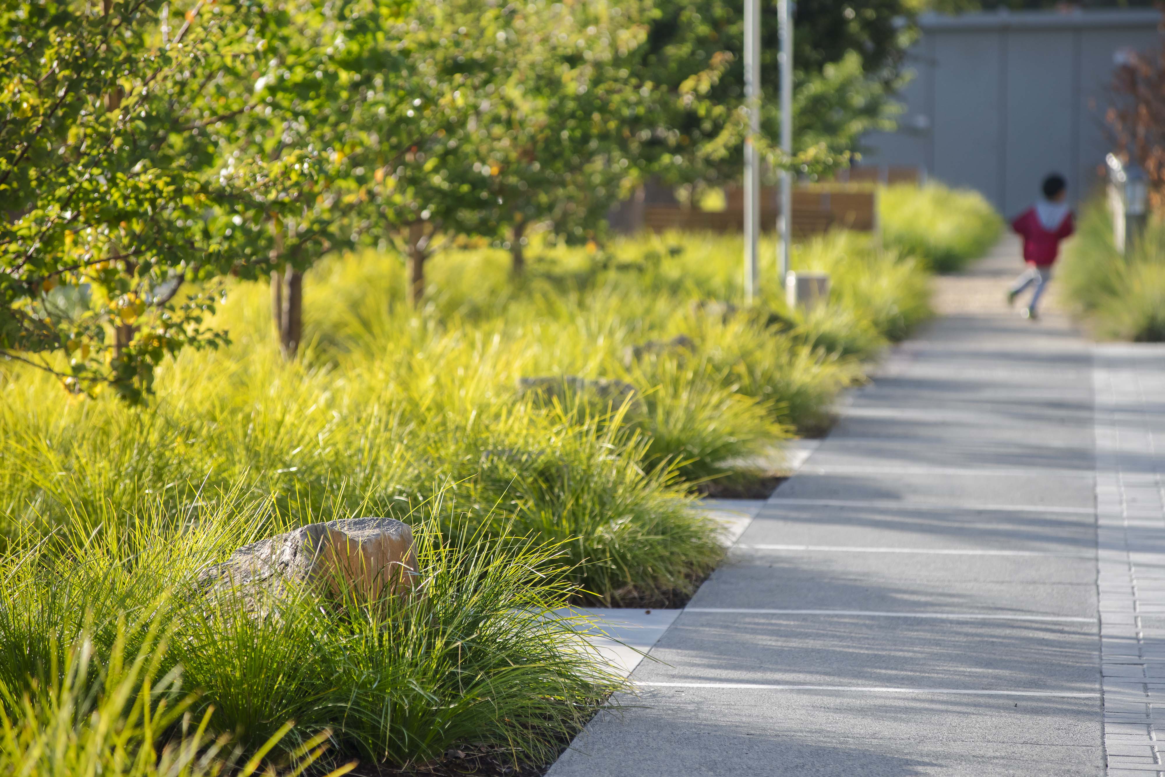 New Stanford Hospital by GLS Landscape | Architecture - Architizer