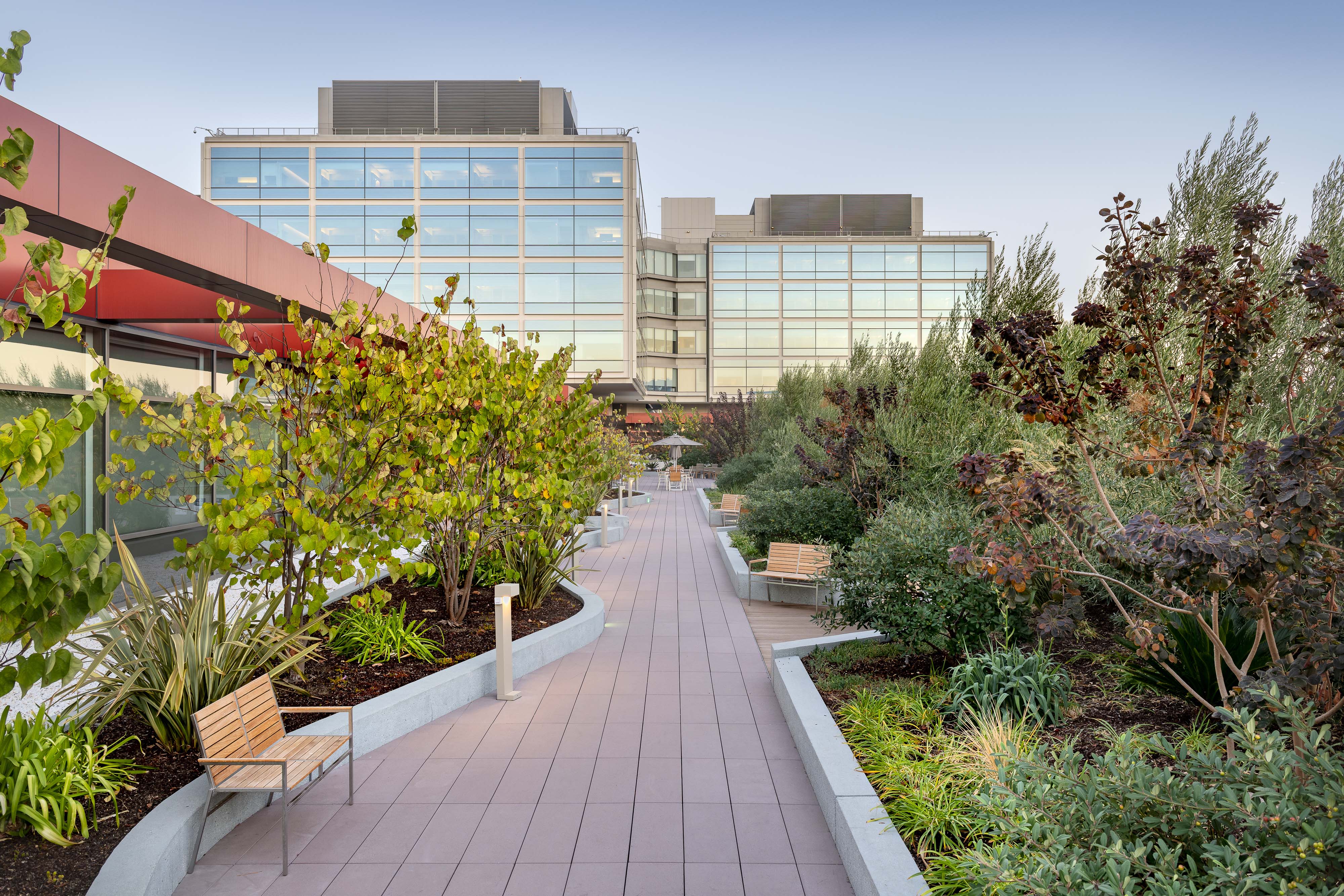 New Stanford Hospital by GLS Landscape | Architecture - Architizer