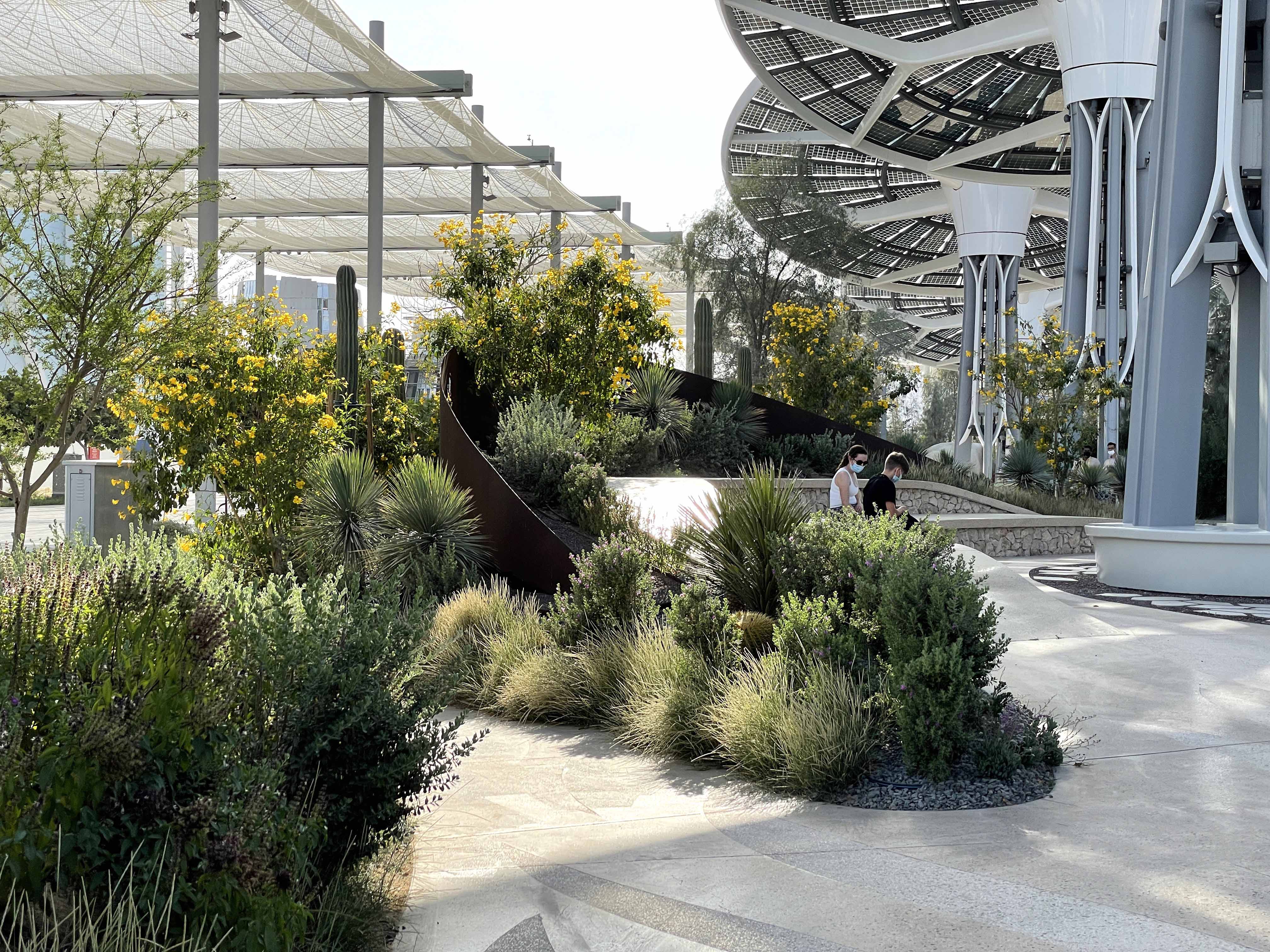 desert INK - Architizer