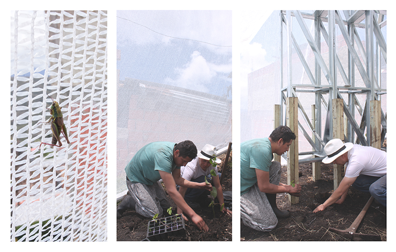 A Community Built Fog Catcher by Alsar Atelier - Architizer