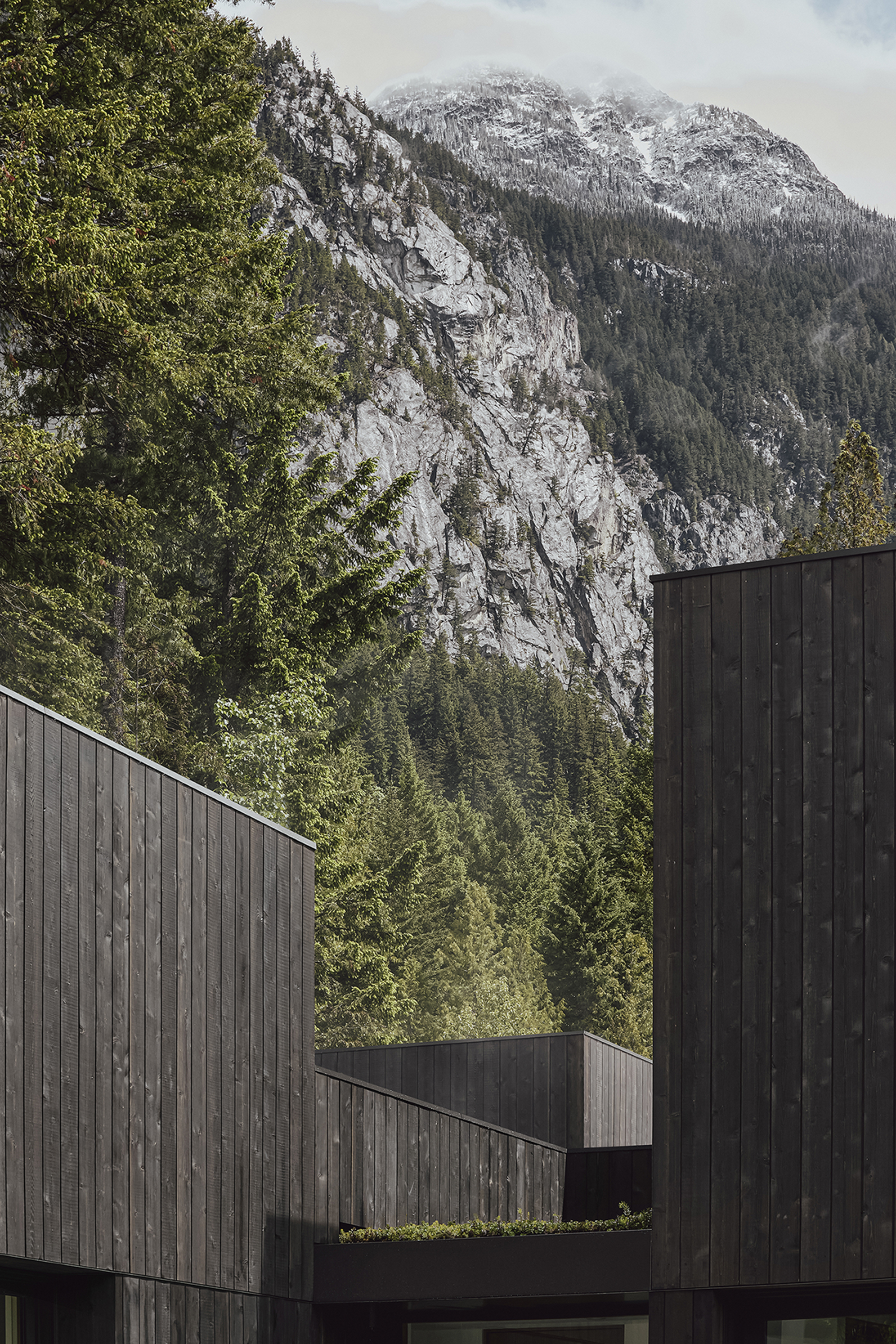Camera House by Leckie Studio Architecture + Design - Architizer