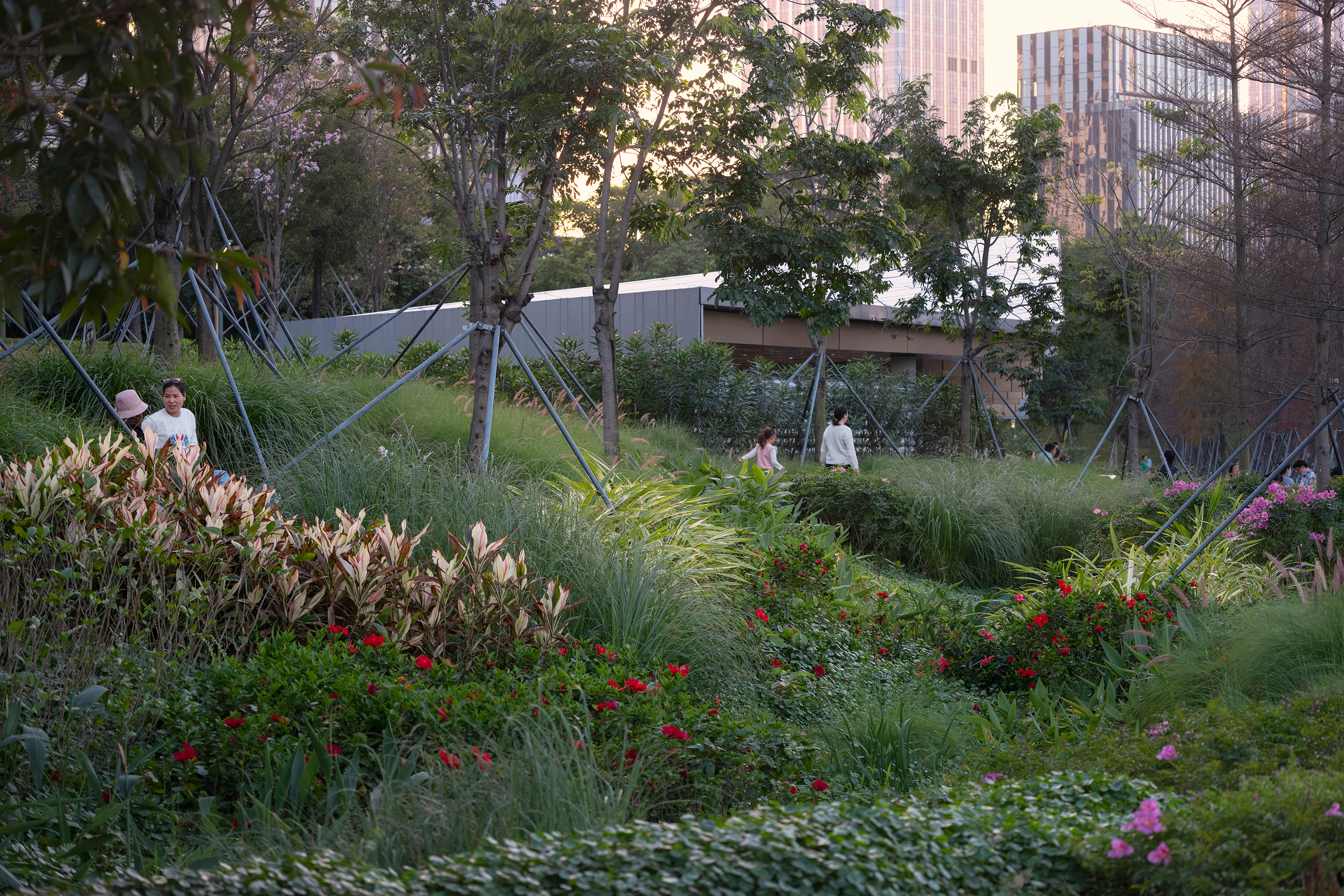 Qianhai's Guiwan Park by Field Operations - Architizer