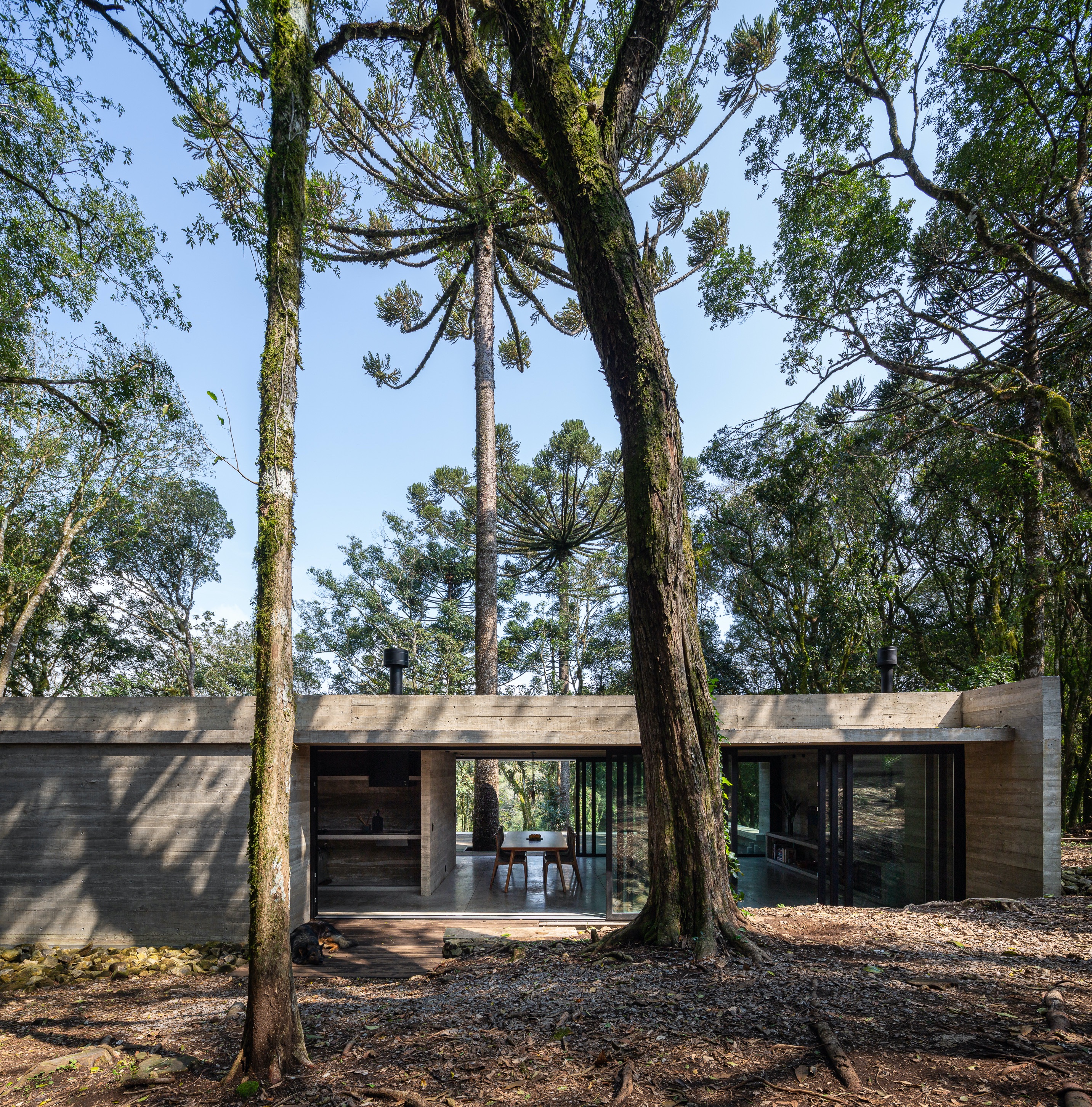 Fortunata House by luciano lerner basso, architecture - Architizer