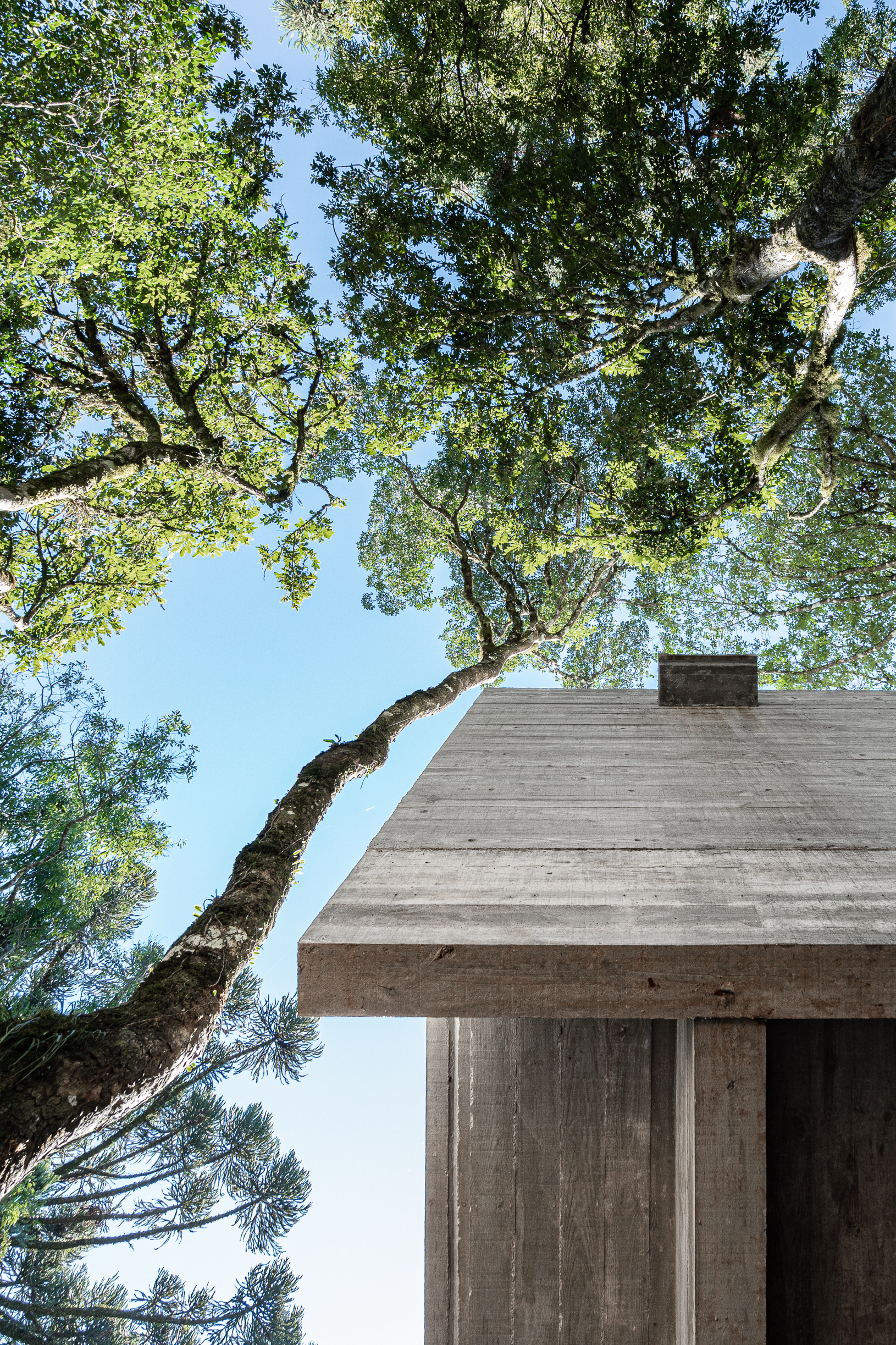 Fortunata House by luciano lerner basso, architecture - Architizer