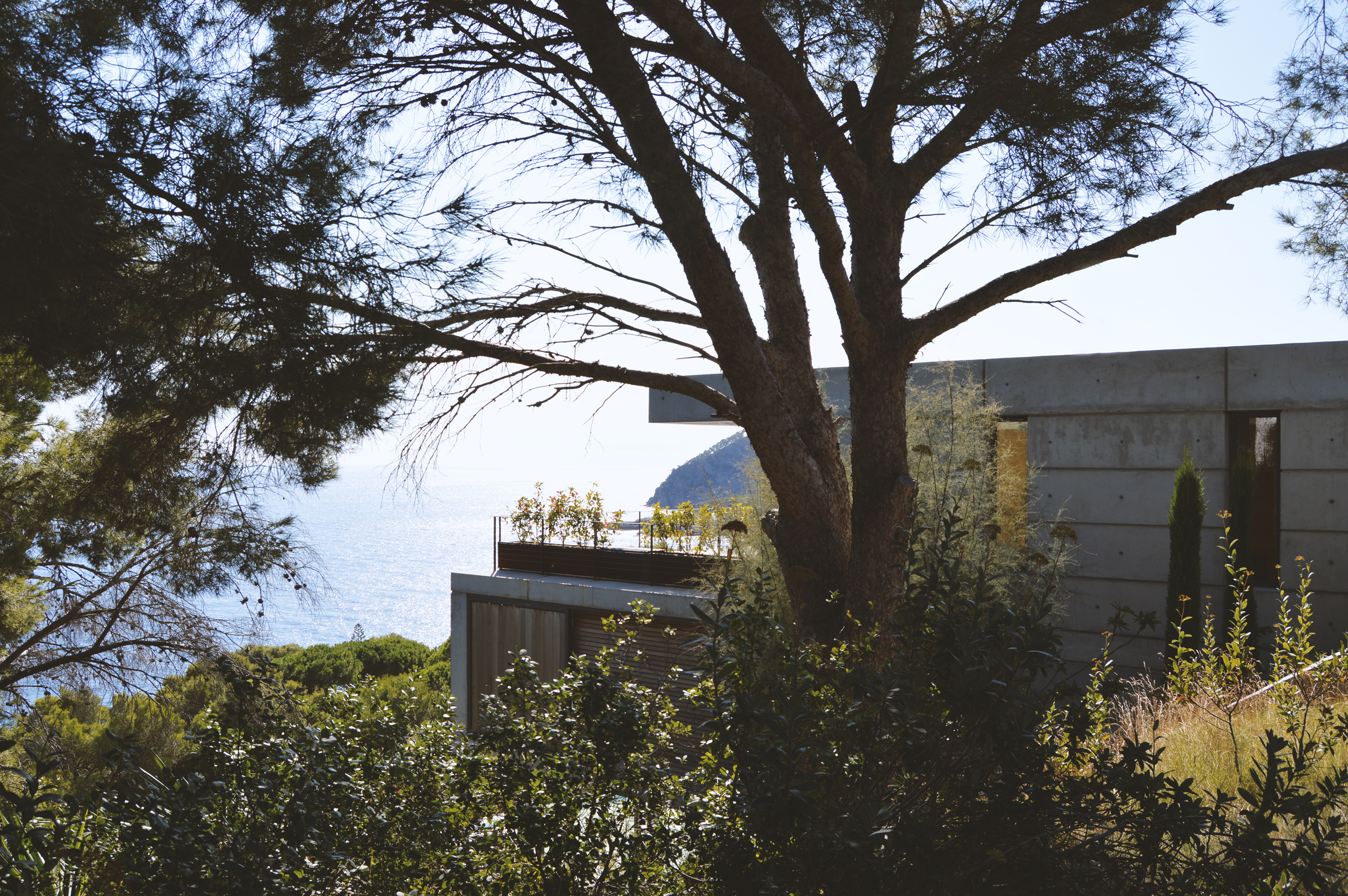 Marcel House by Cabana Partners - Architizer