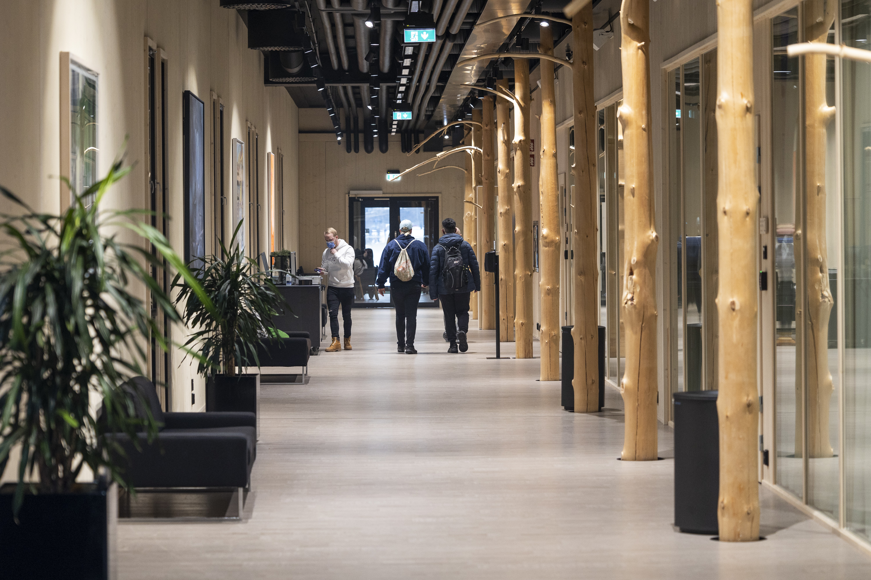 Little Finlandia by Pikku-Finlandia studio, Aalto University - Architizer