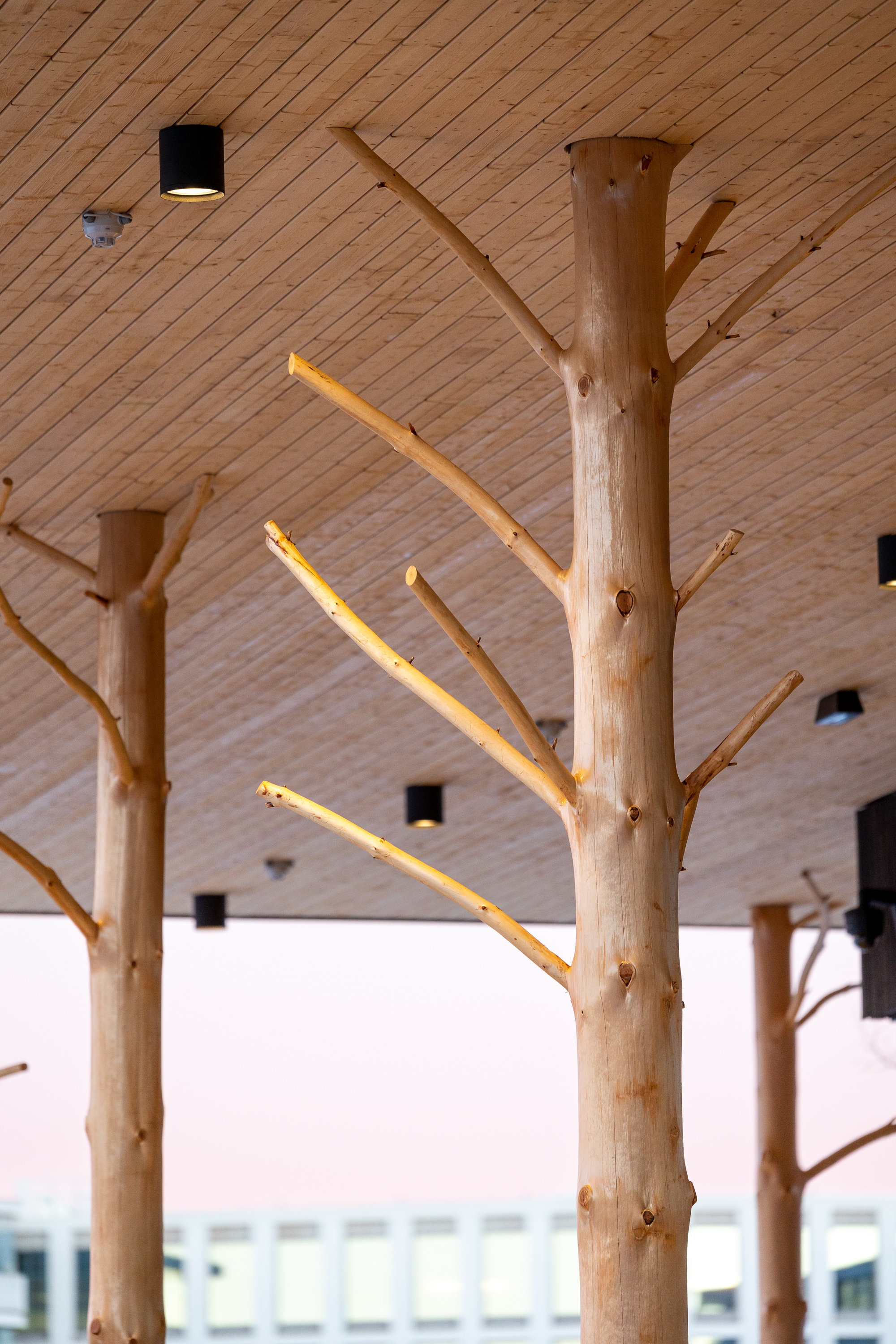 Little Finlandia by Pikku-Finlandia studio, Aalto University - Architizer