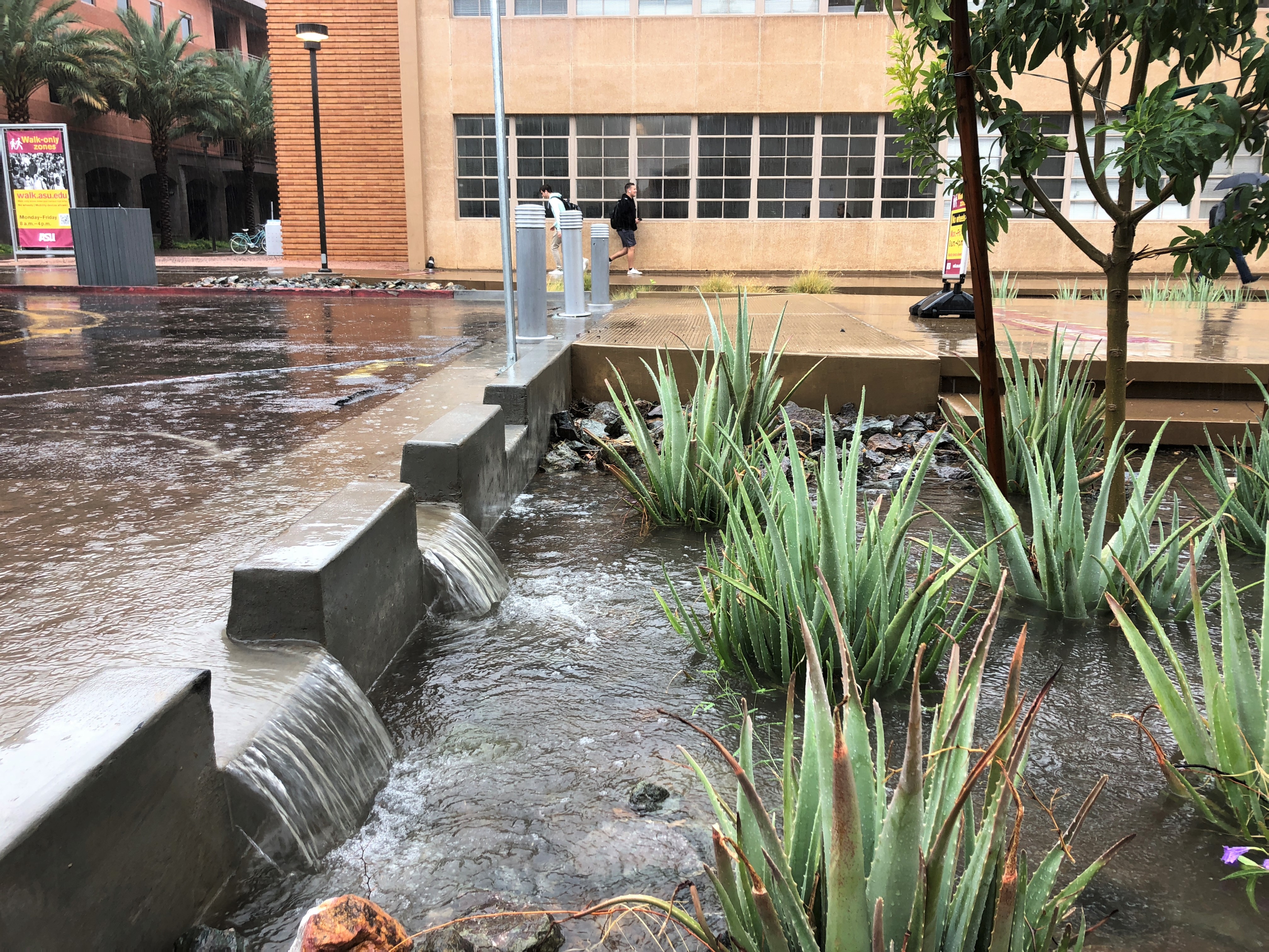 Orange Mall Green Infrastructure at Arizona State University by Colwell ...