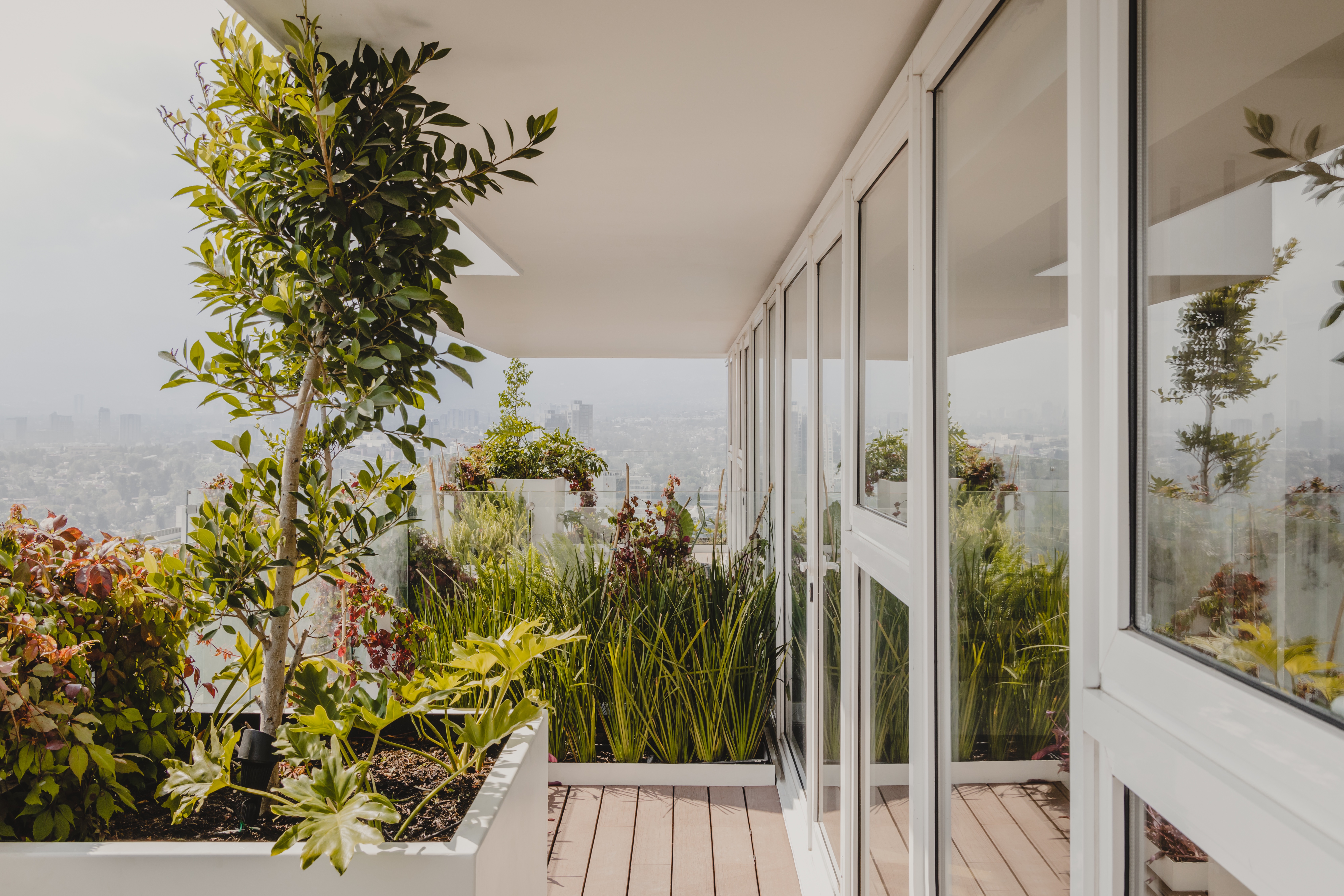 Periférico 2008 by BRAG Arquitectos - Architizer