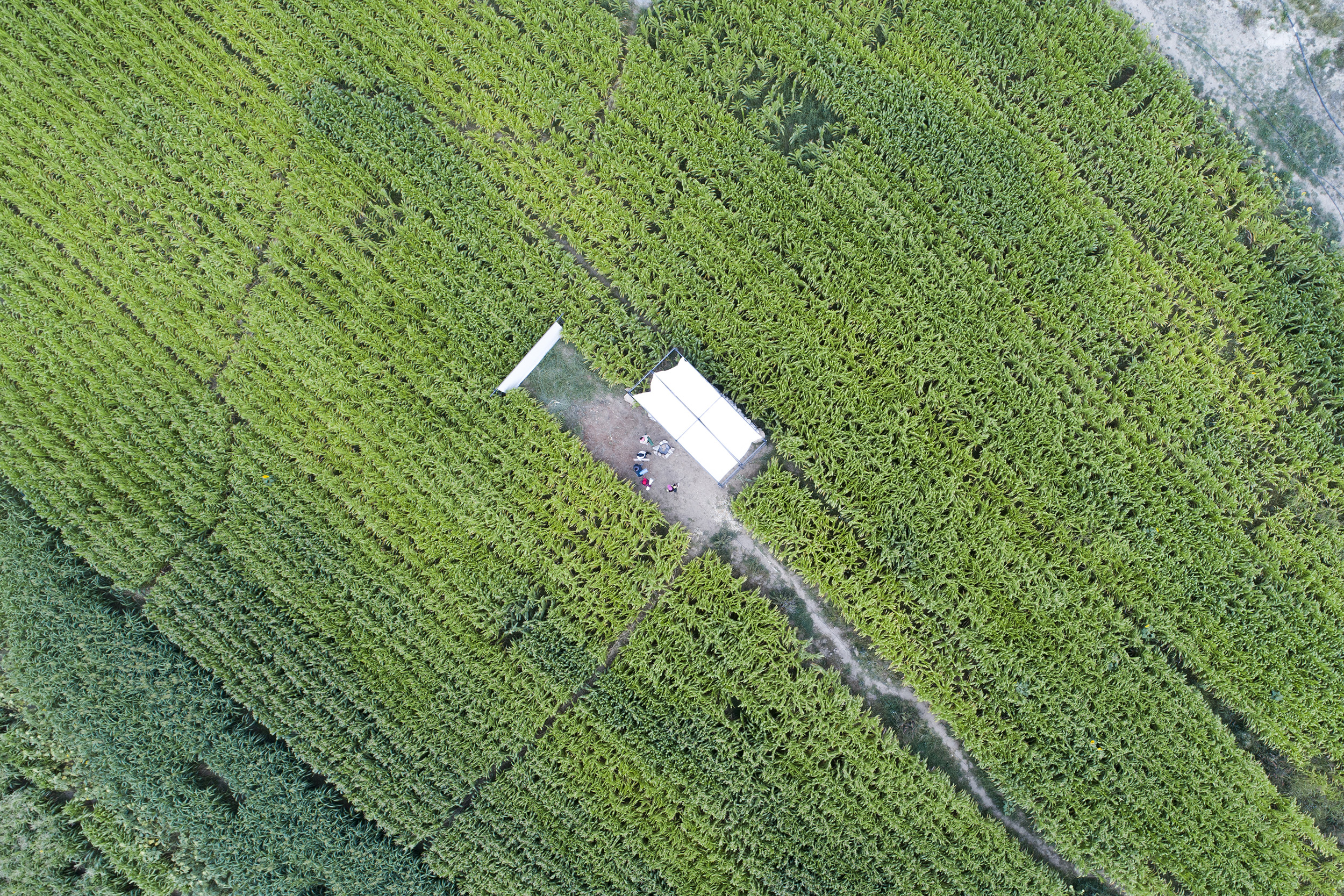 Poonehzar-Farm by Shid Architects - Architizer