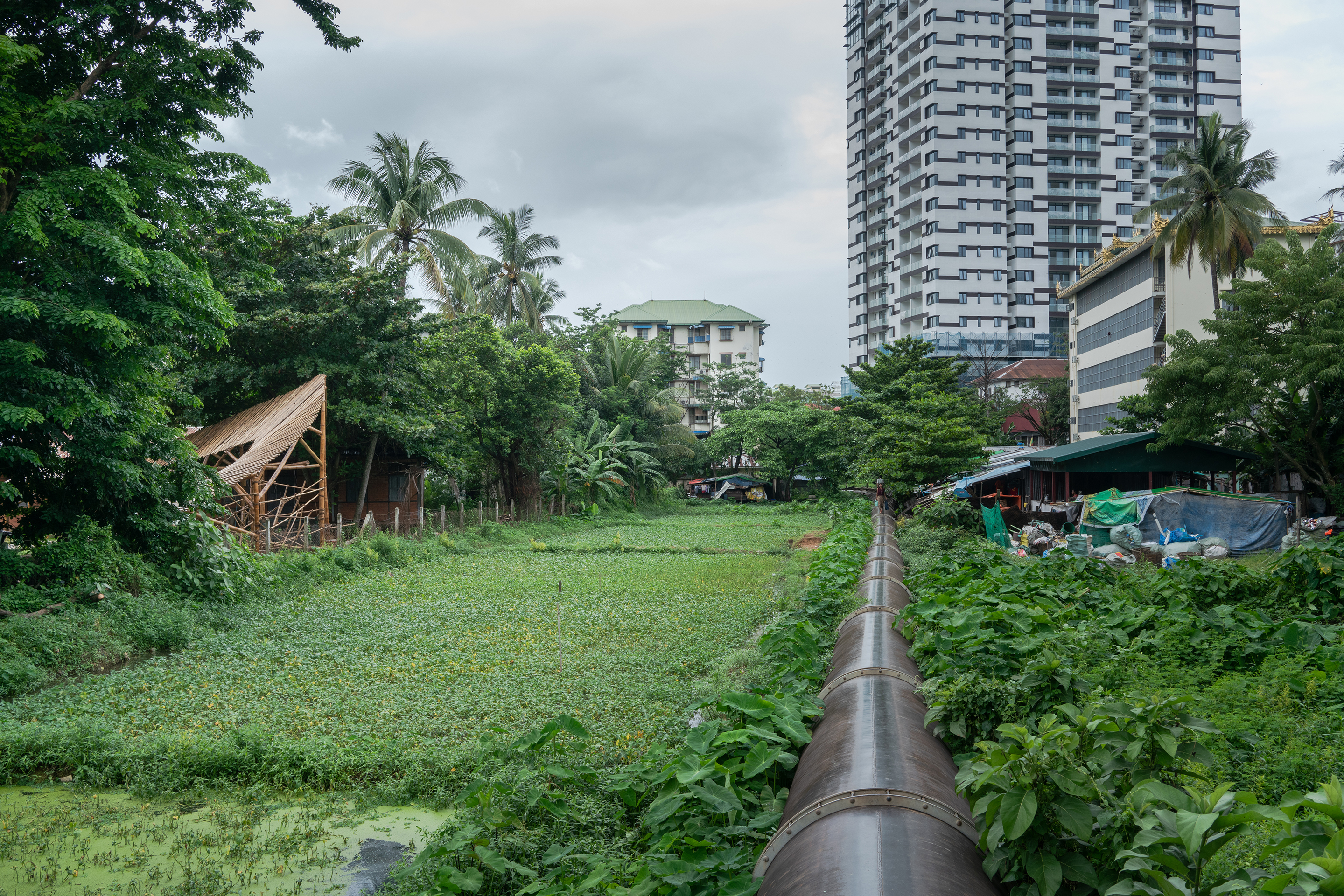 Bamboo Playground by Blue Temple - Architizer