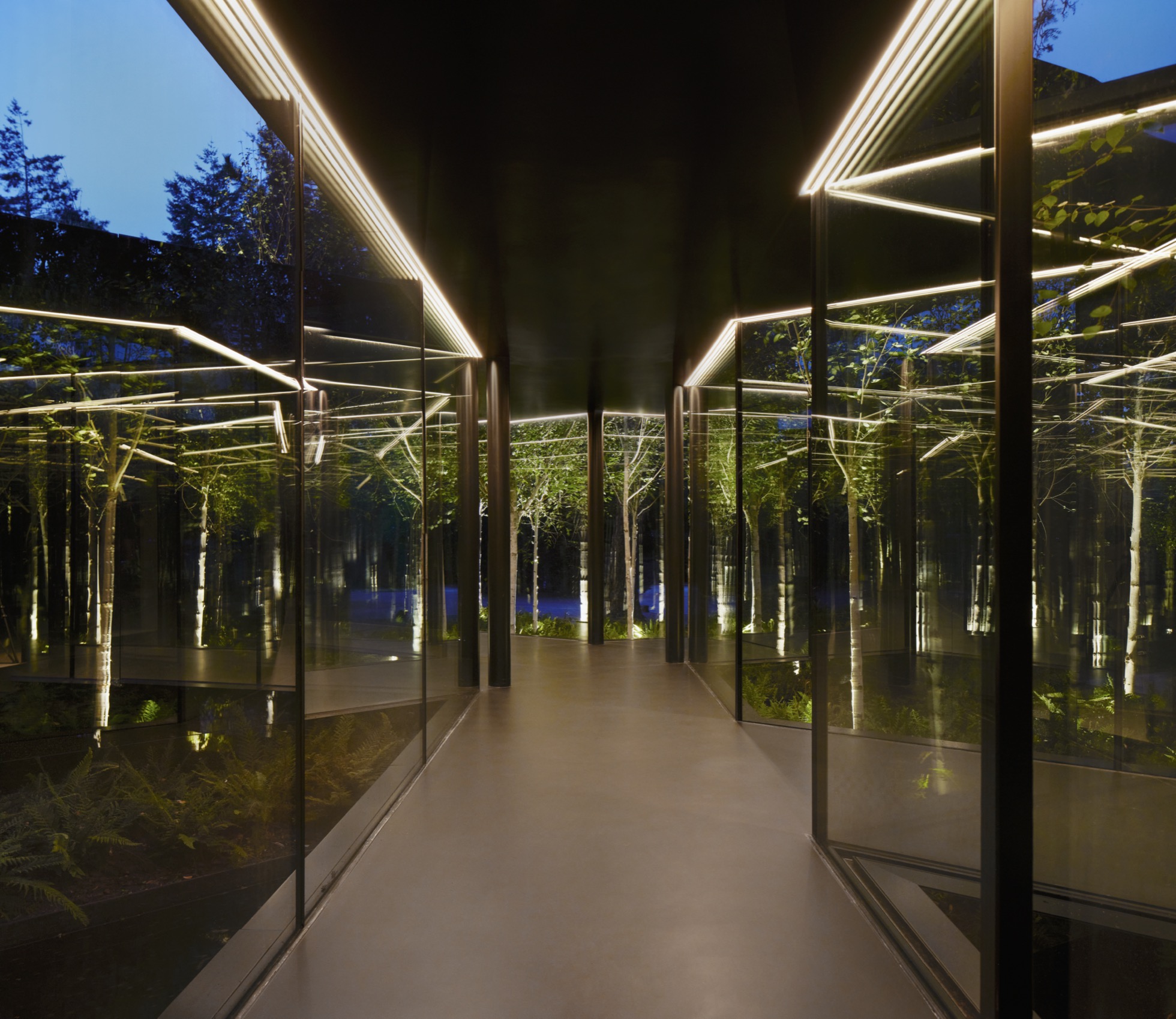 Invisible House by Balaclava Projects - Architizer