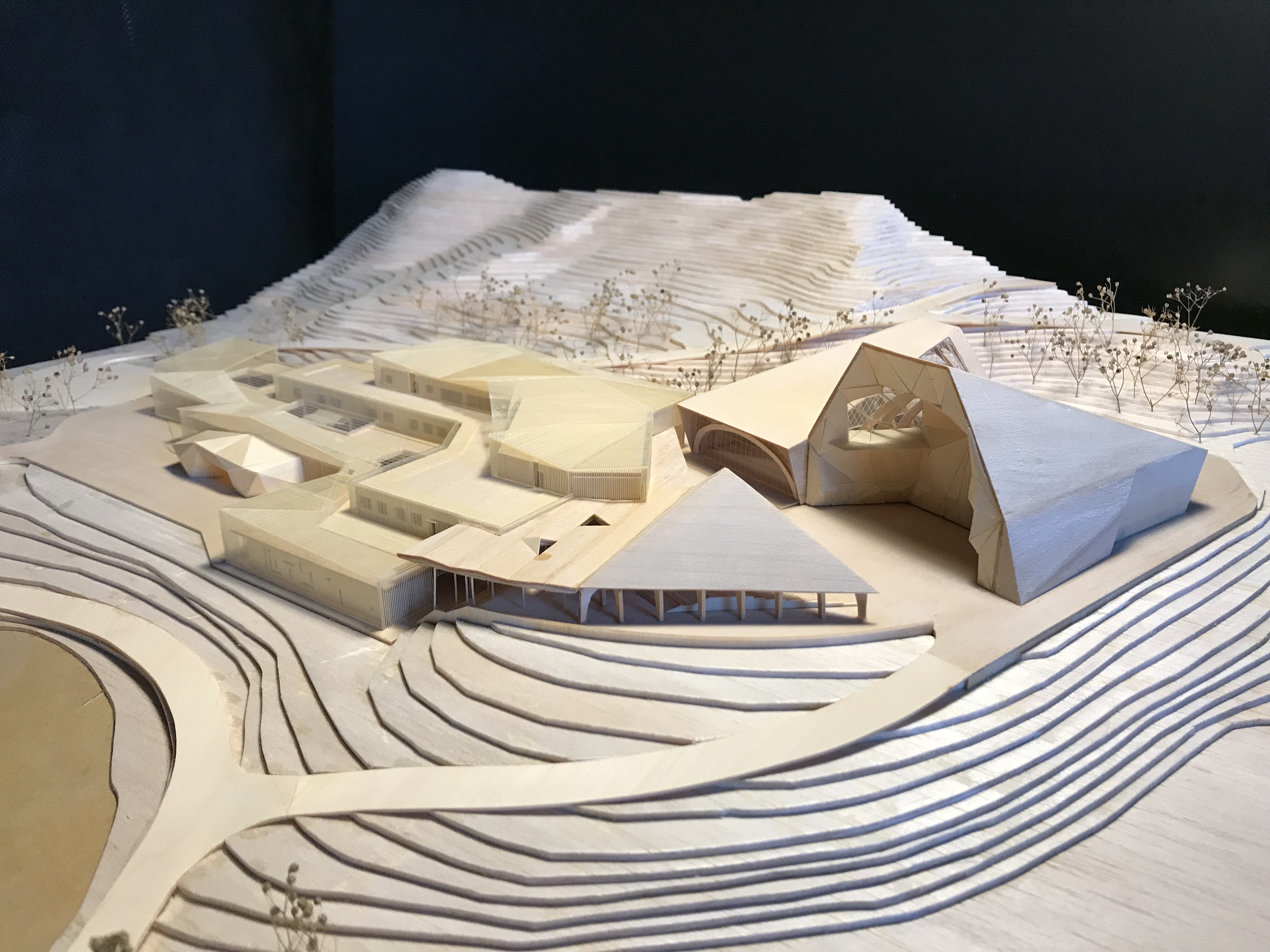 Getu Climbing Gymnasium of Ziyun - Twin Arch Timber Structure Salute to ...