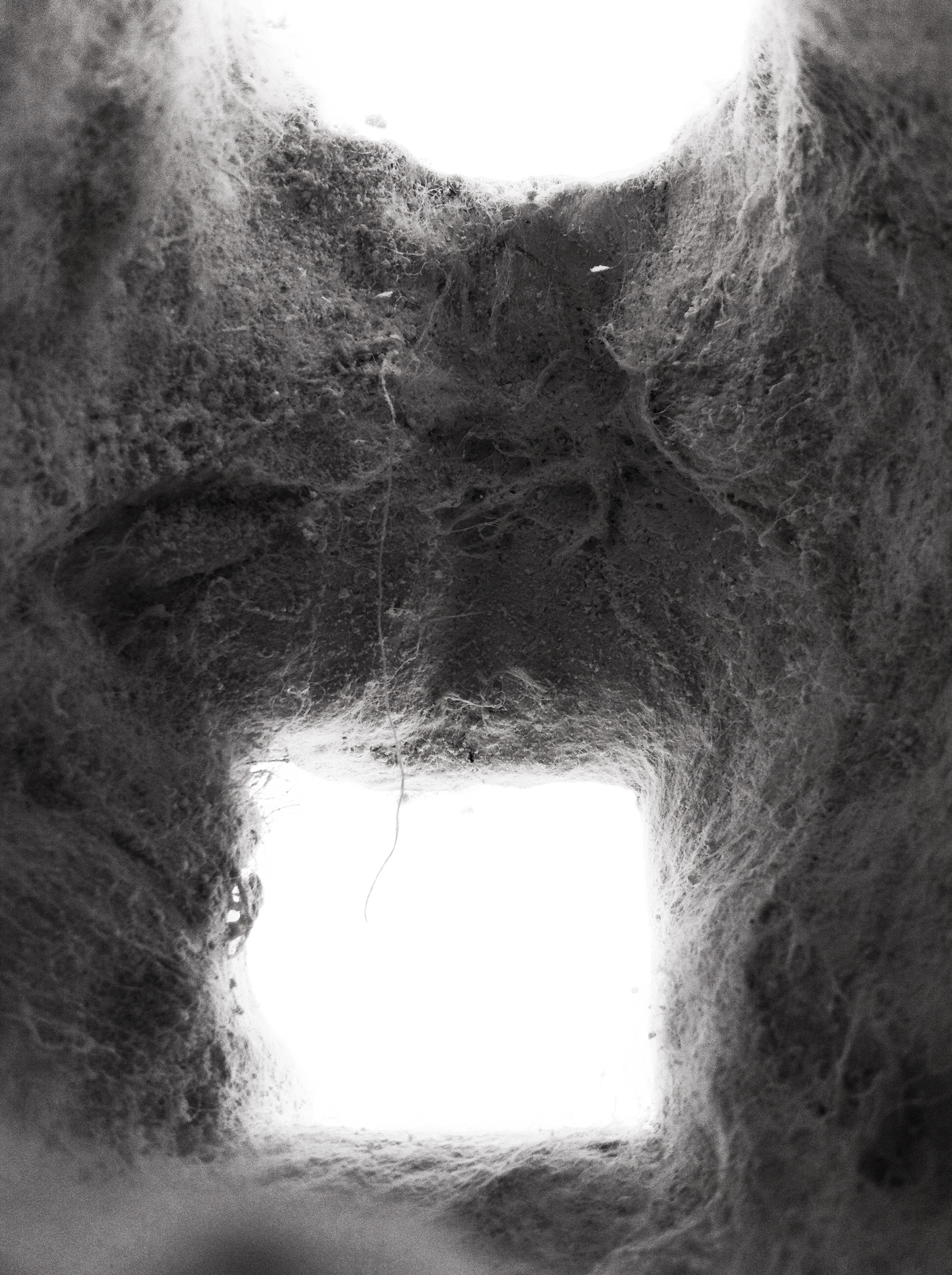 The Wool House by GIPP arkitektur - Architizer