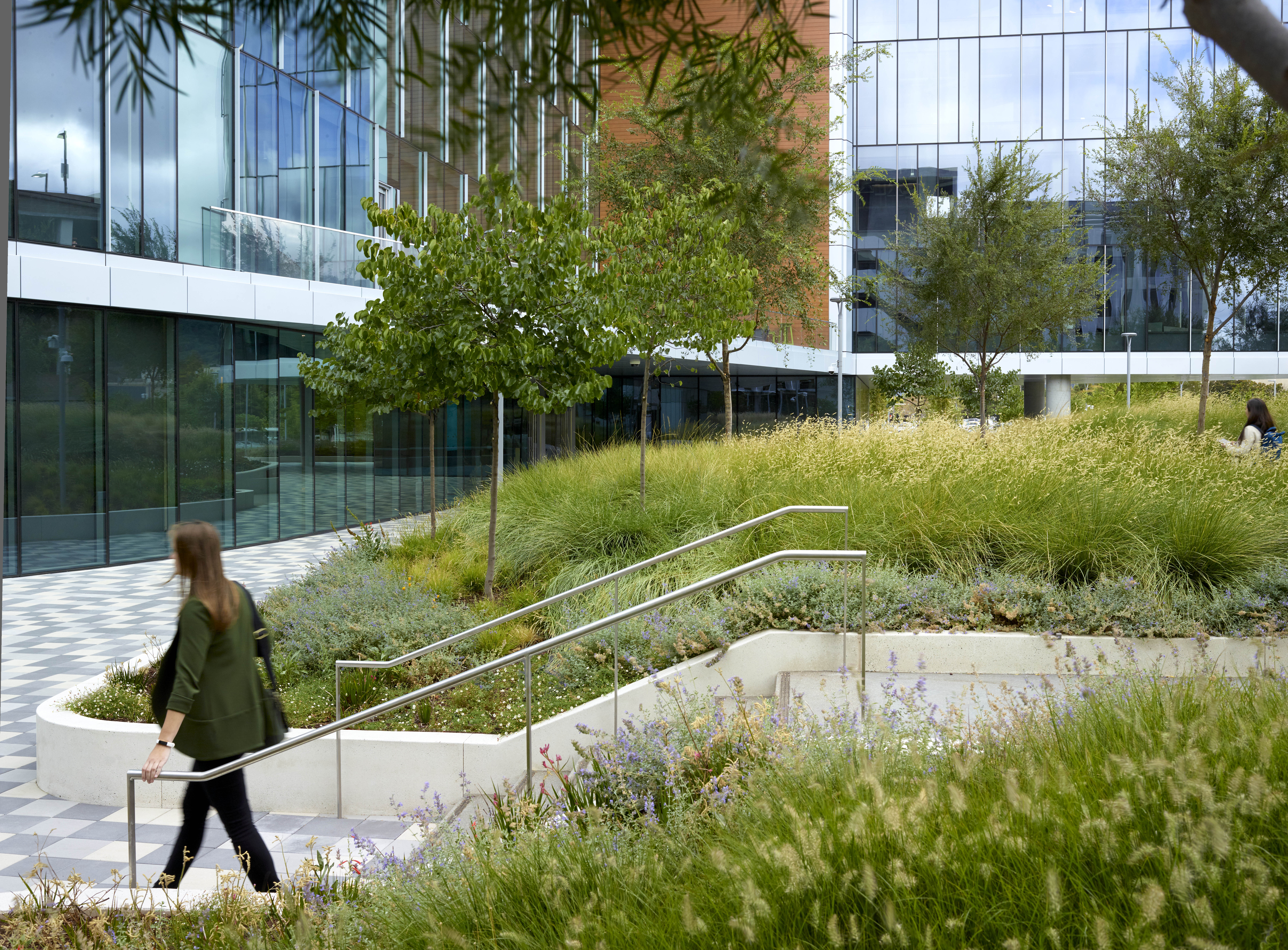 Workday + BART Innovation Plaza by HOK - Architizer