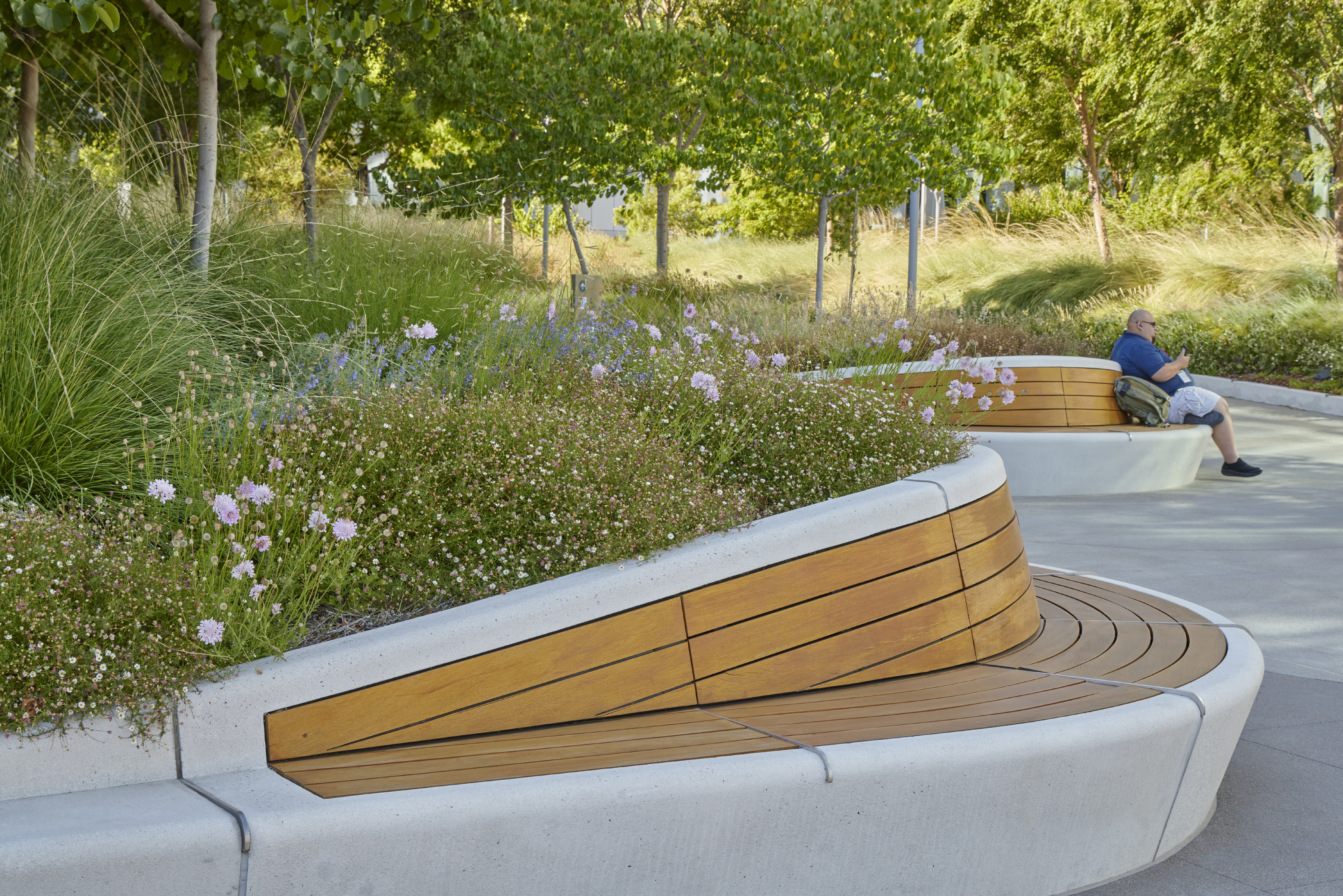 Workday + BART Innovation Plaza by HOK - Architizer