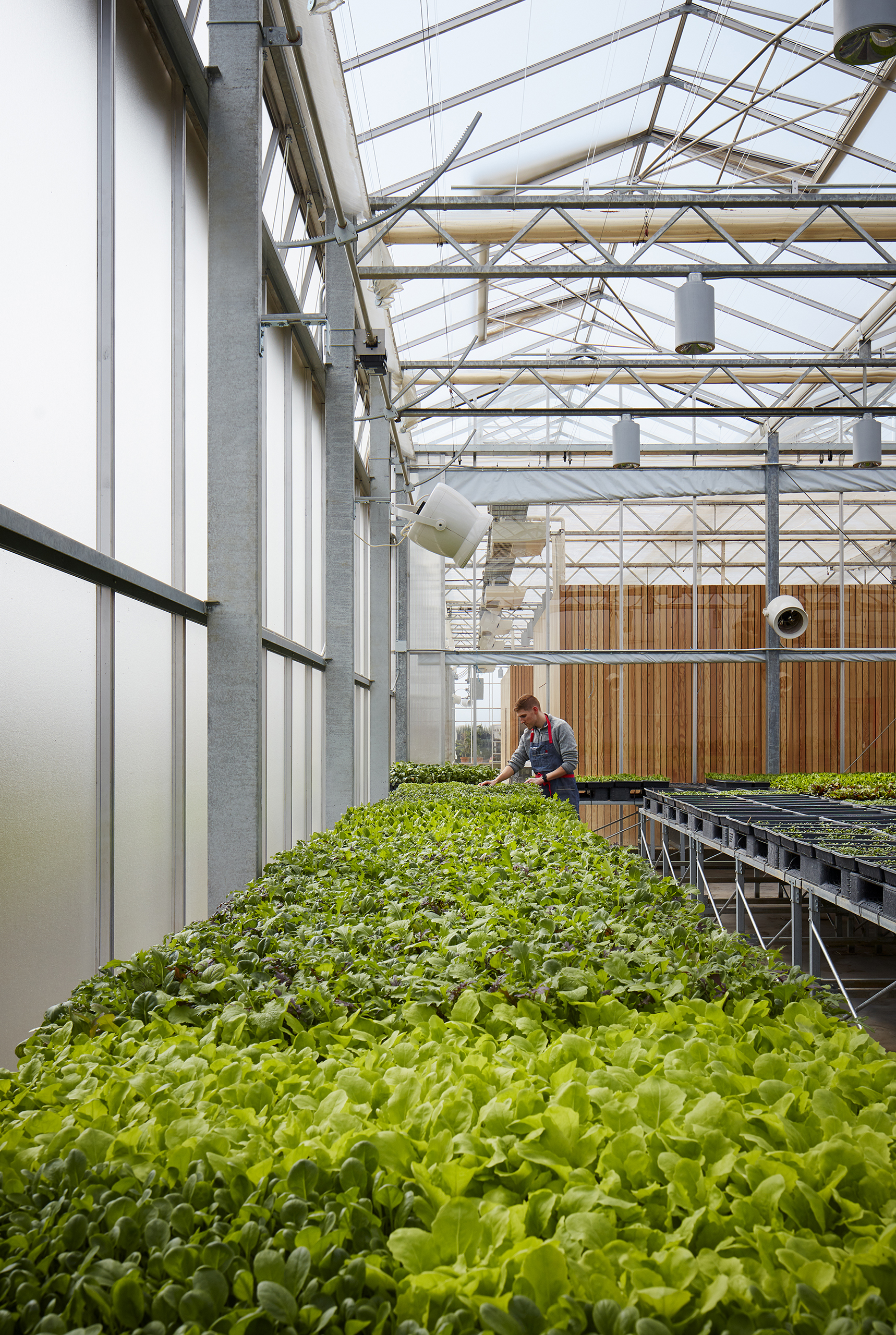 Granor Greenhouse by Wheeler Kearns Architects - Architizer