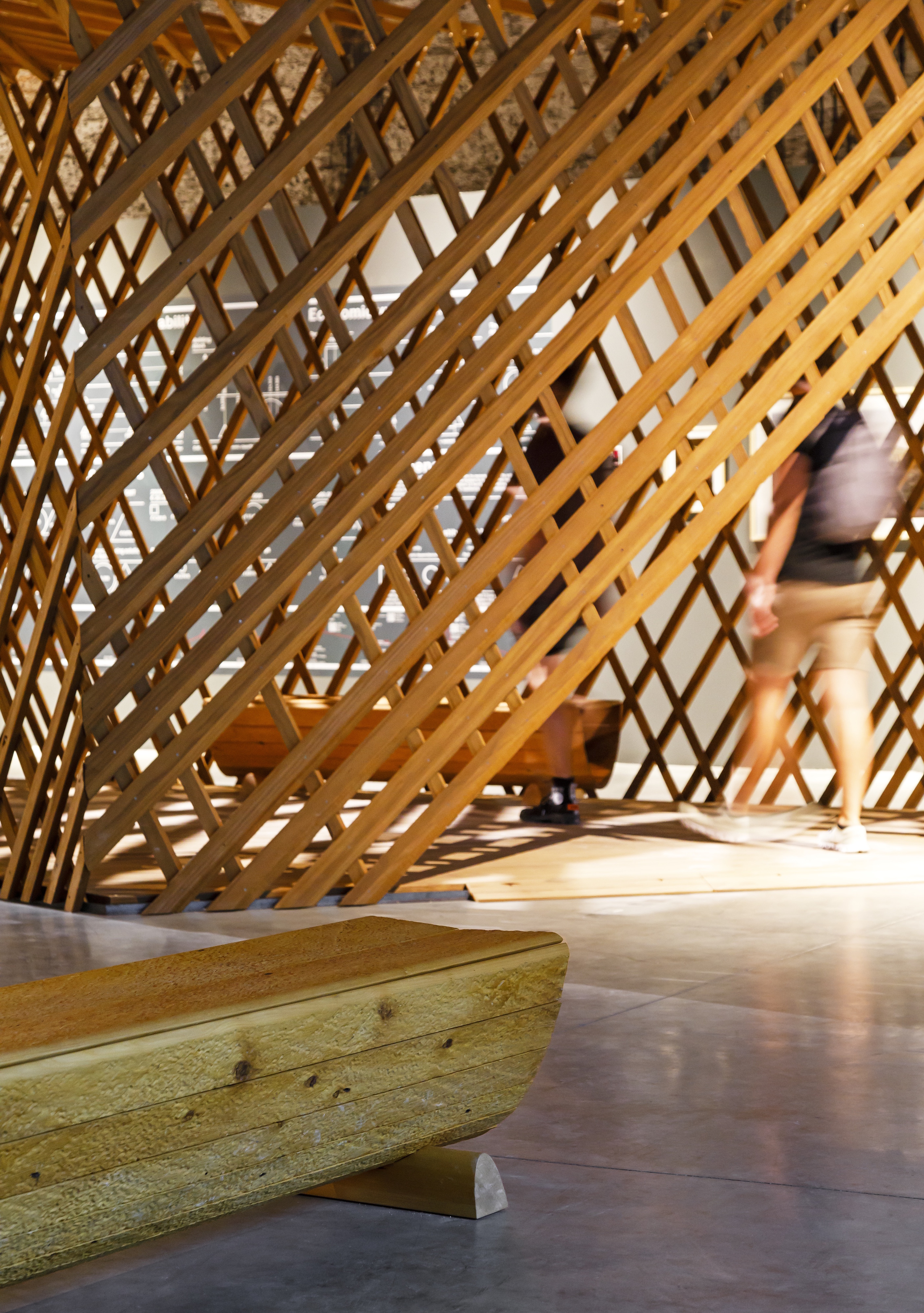 Learning from Trees by Andrew Barre Lab - Architizer