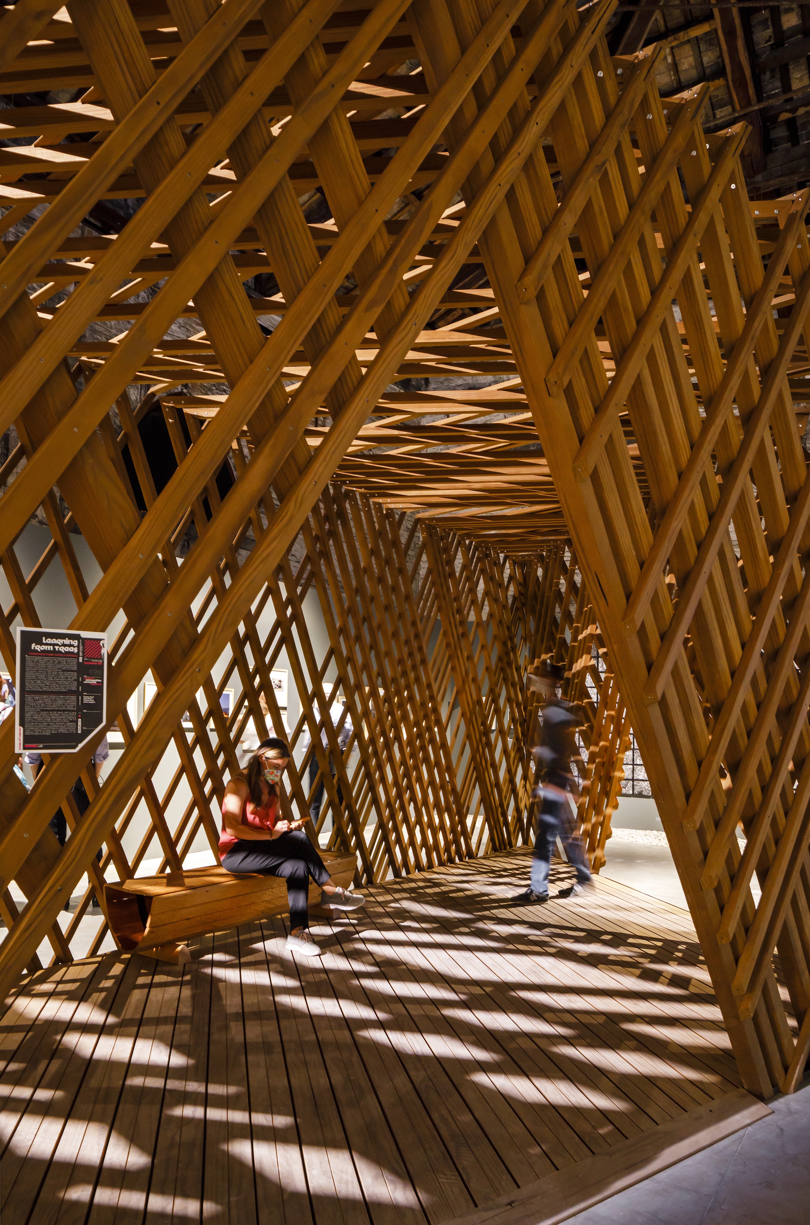 Learning from Trees by Andrew Barre Lab - Architizer