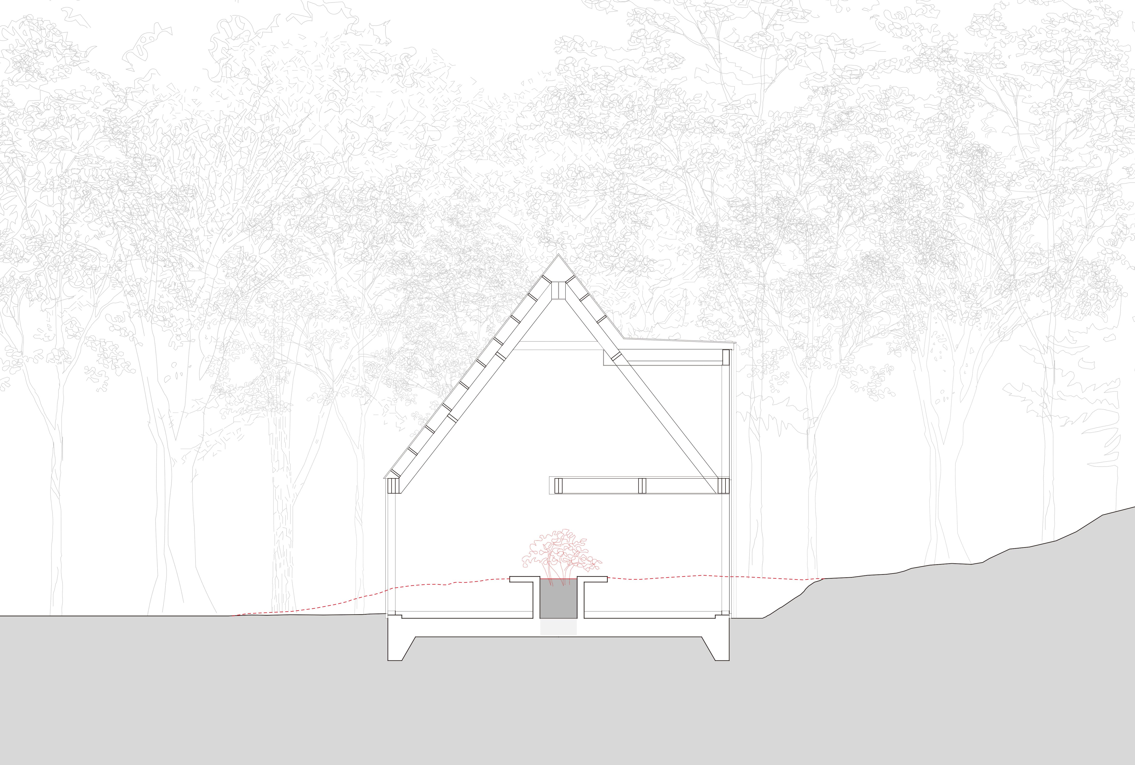 Forest Edge by Frame Works - Architizer