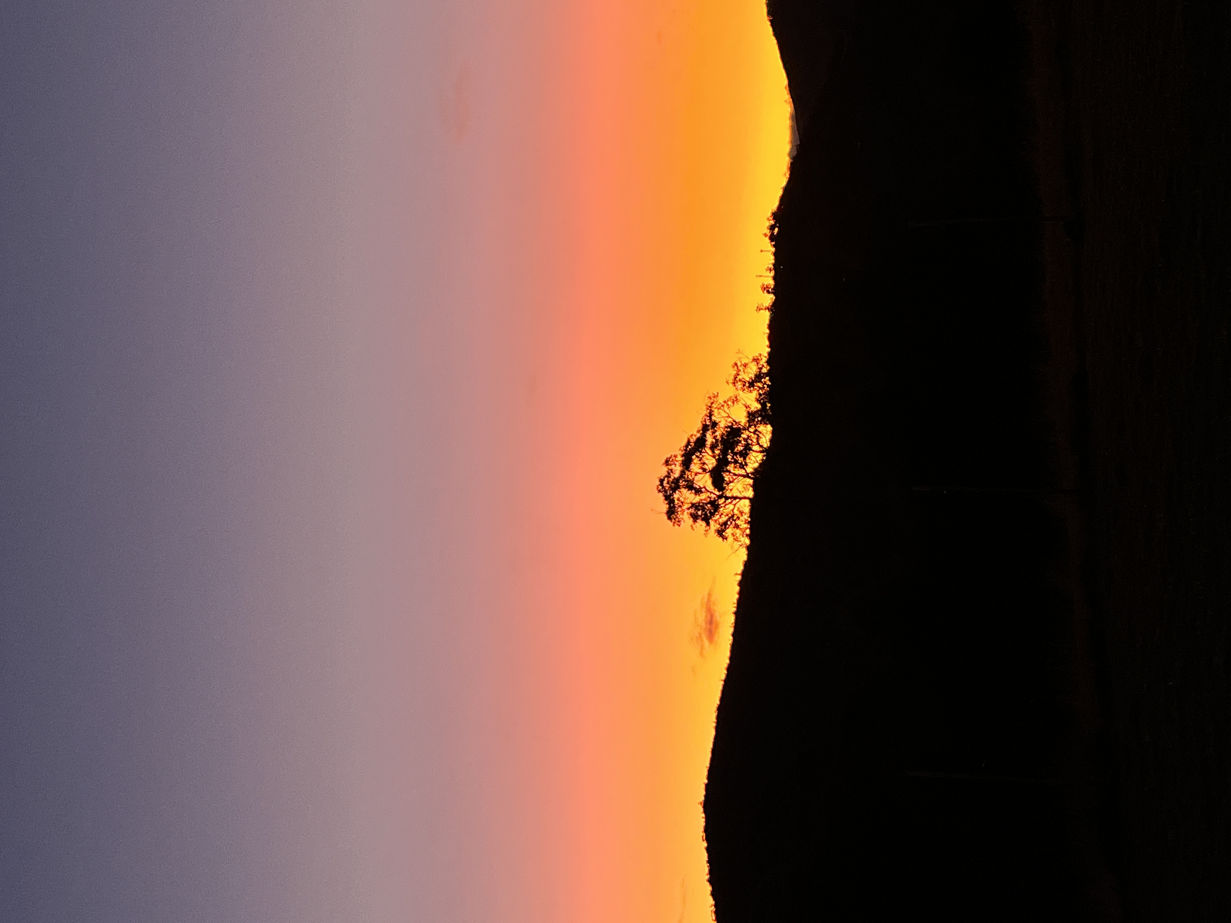 Huon Valley Box by Misho + Associates - Architizer
