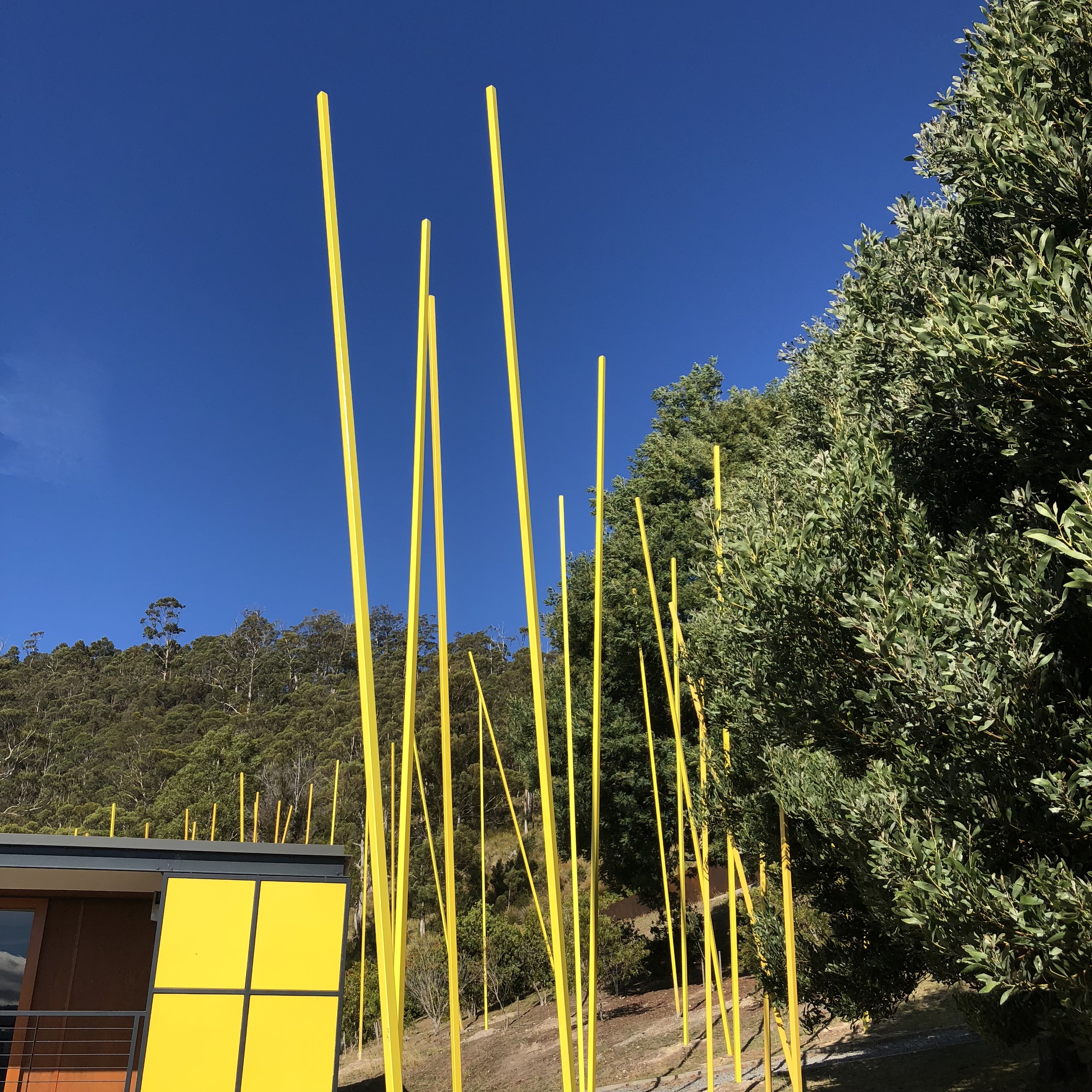 Huon Valley Box by Misho + Associates - Architizer