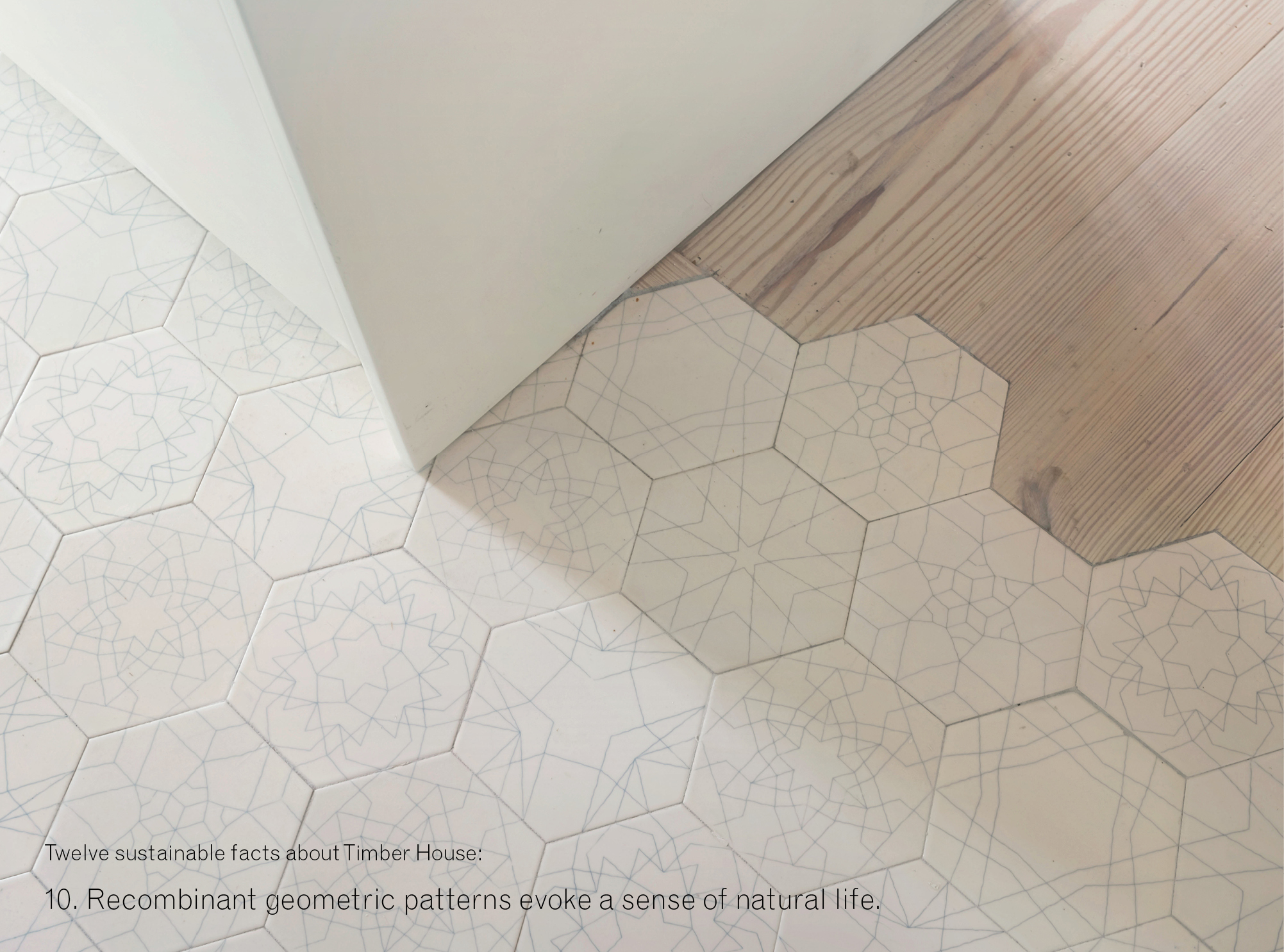 Idea 3664655: Timber House by MESH Architectures in United States ...