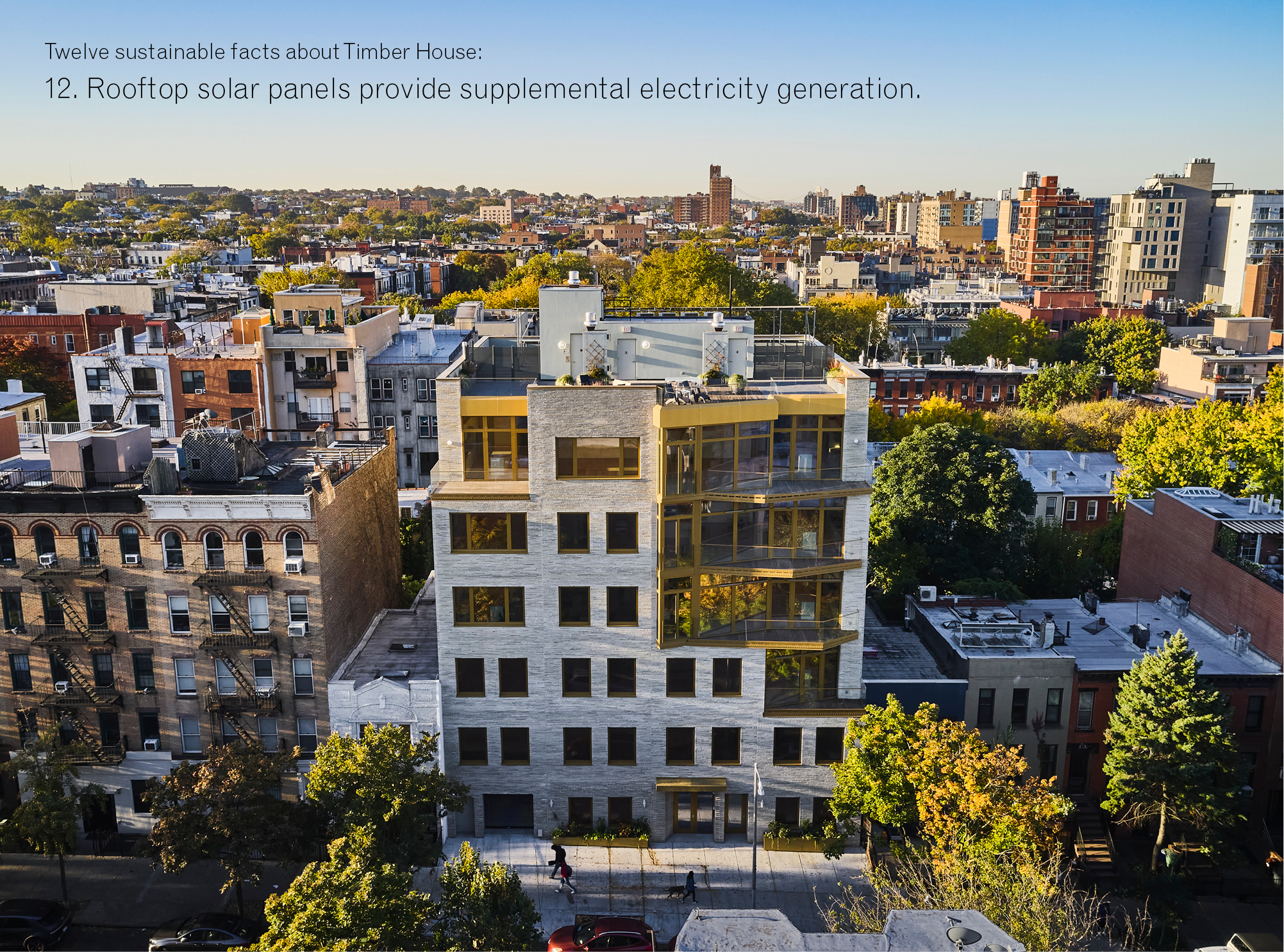 Timber House by MESH Architectures - Architizer