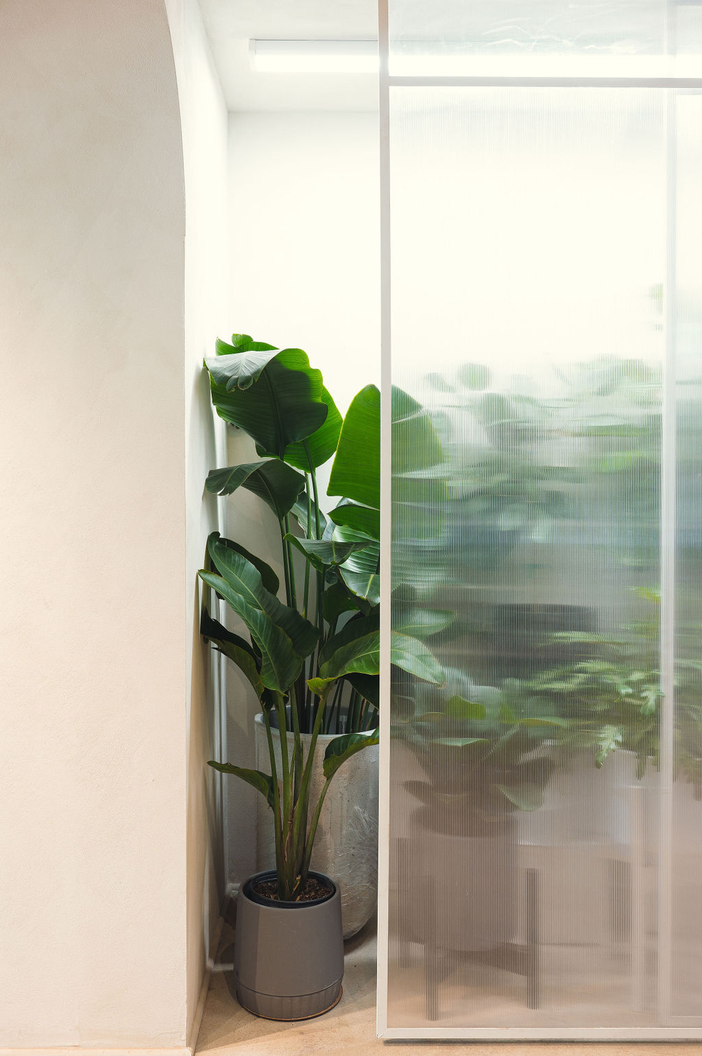 Folia Design by MorinLauzé - Architizer