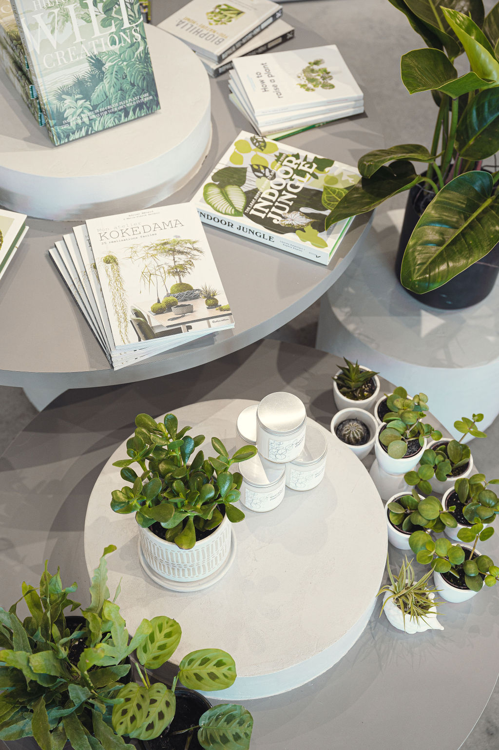 Folia Design by MorinLauzé - Architizer