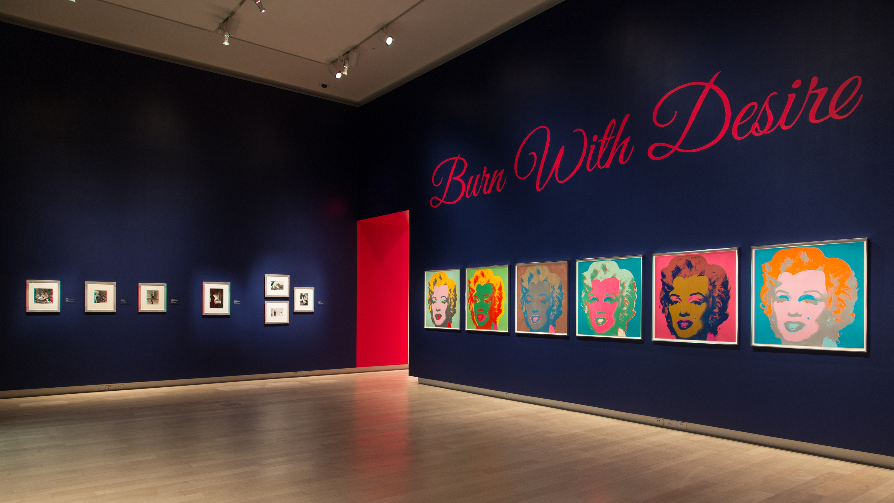 Ryerson Image Centre and School of Image Arts, Ryerson University by ...