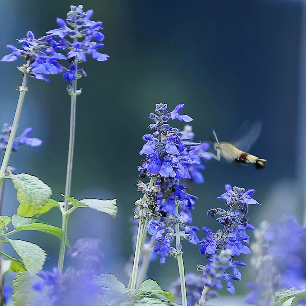 Ant A Space by ASPECT Studios - Architizer