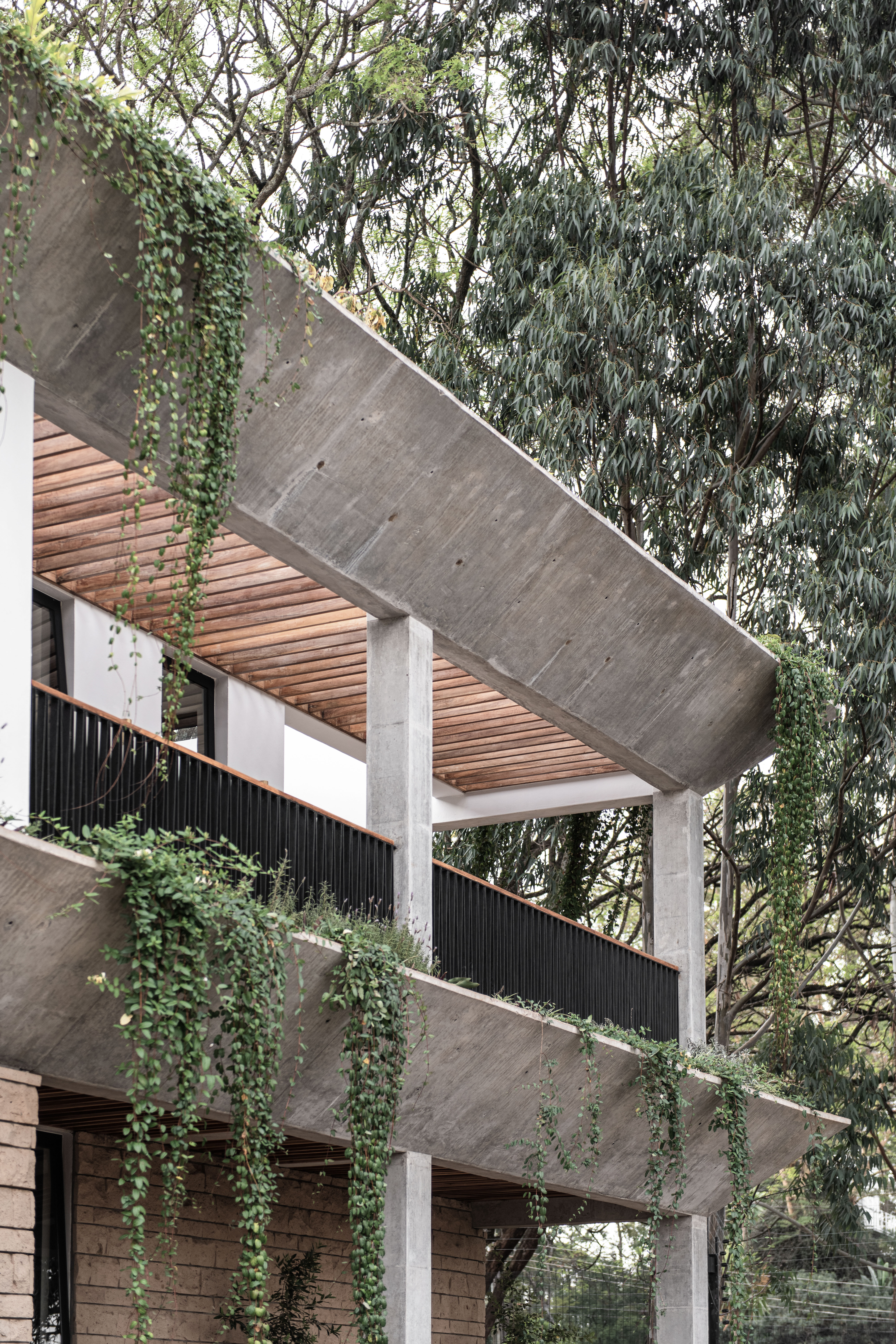 Casa SD by Studio Mehta Architecture - Architizer