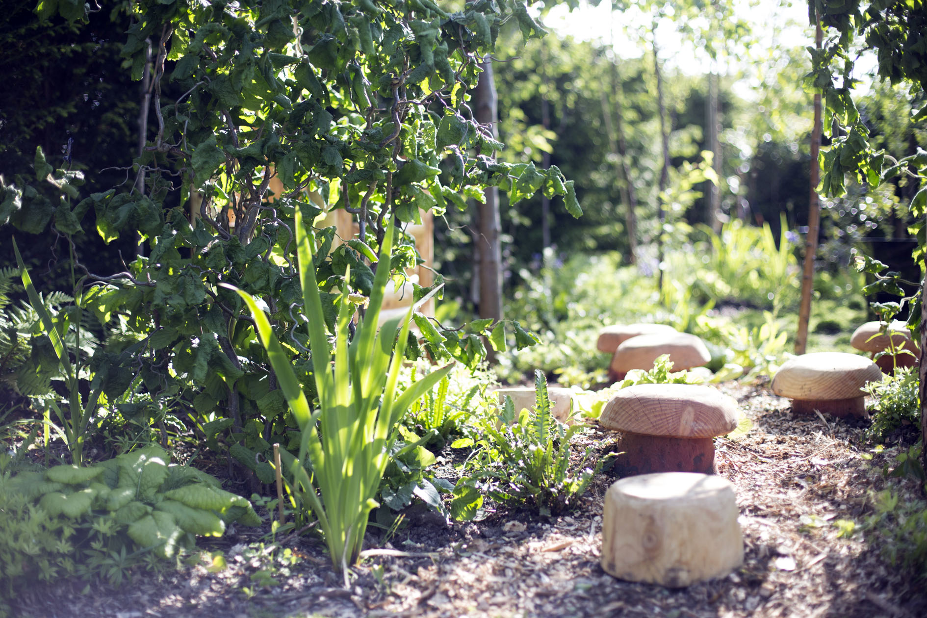 Rotunda Community Garden by BCA Landscape - Architizer