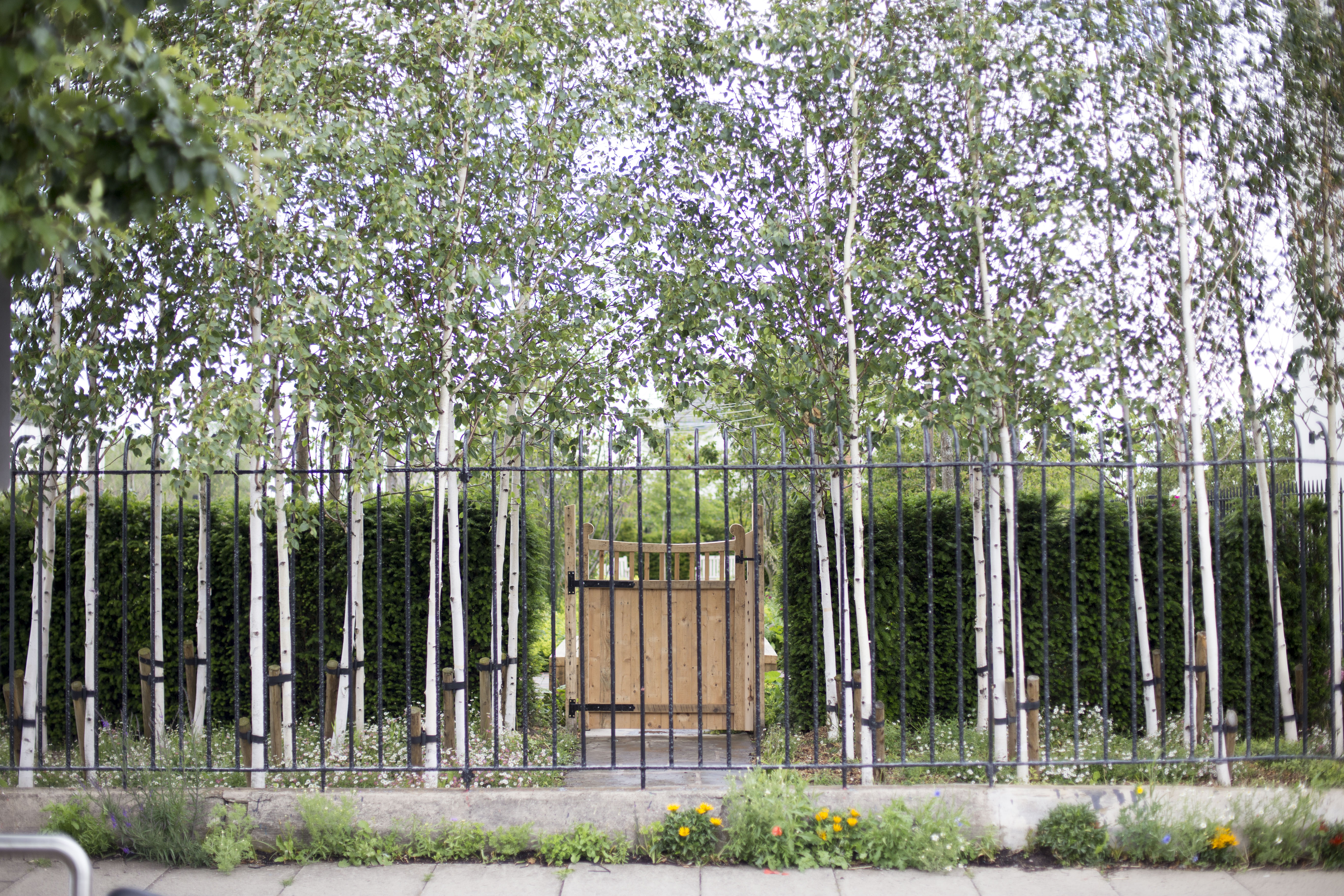 Rotunda Community Garden by BCA Landscape - Architizer