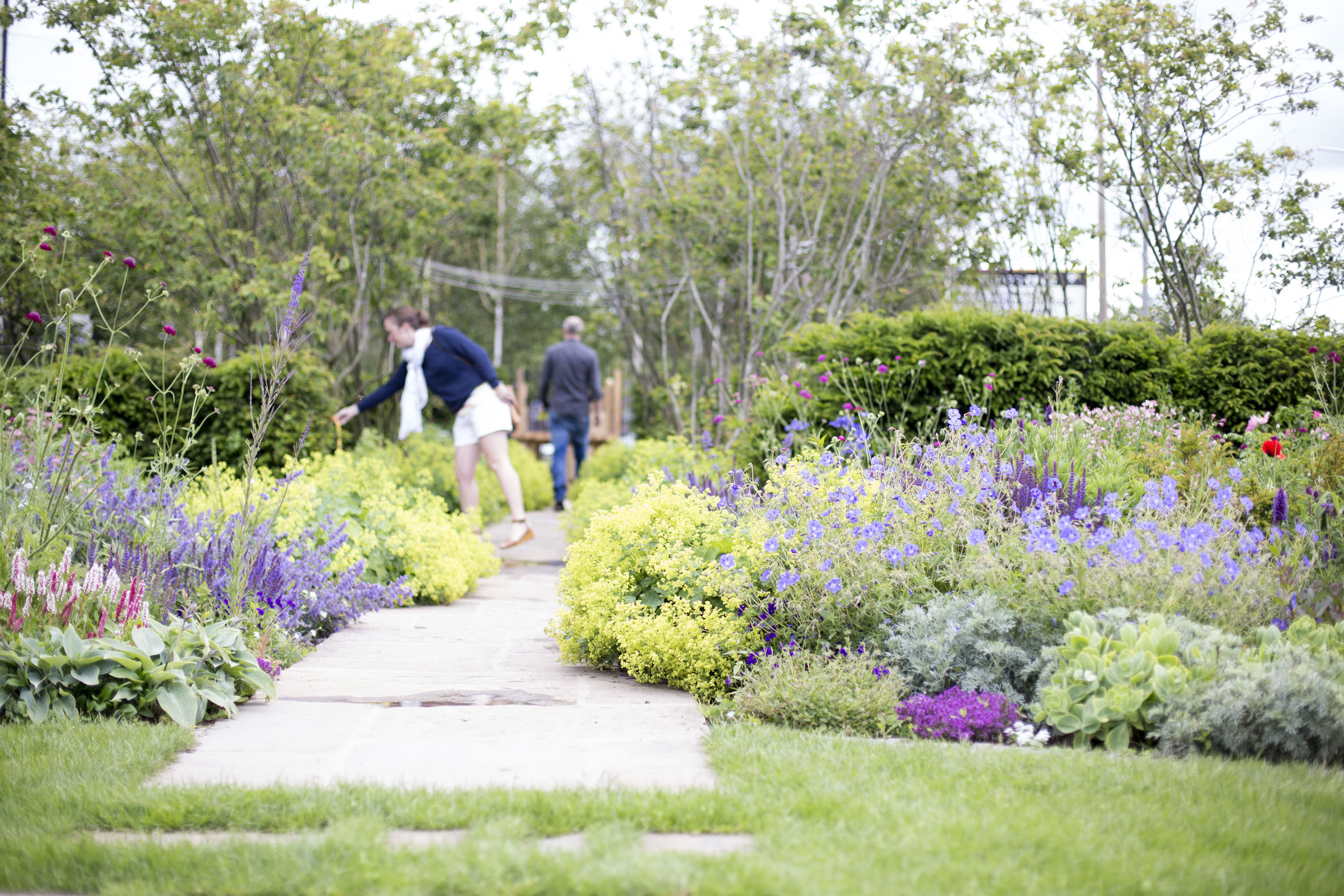 Rotunda Community Garden by BCA Landscape - Architizer