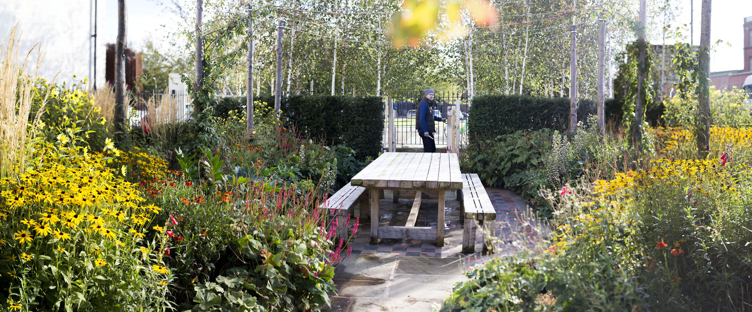 Rotunda Community Garden by BCA Landscape - Architizer