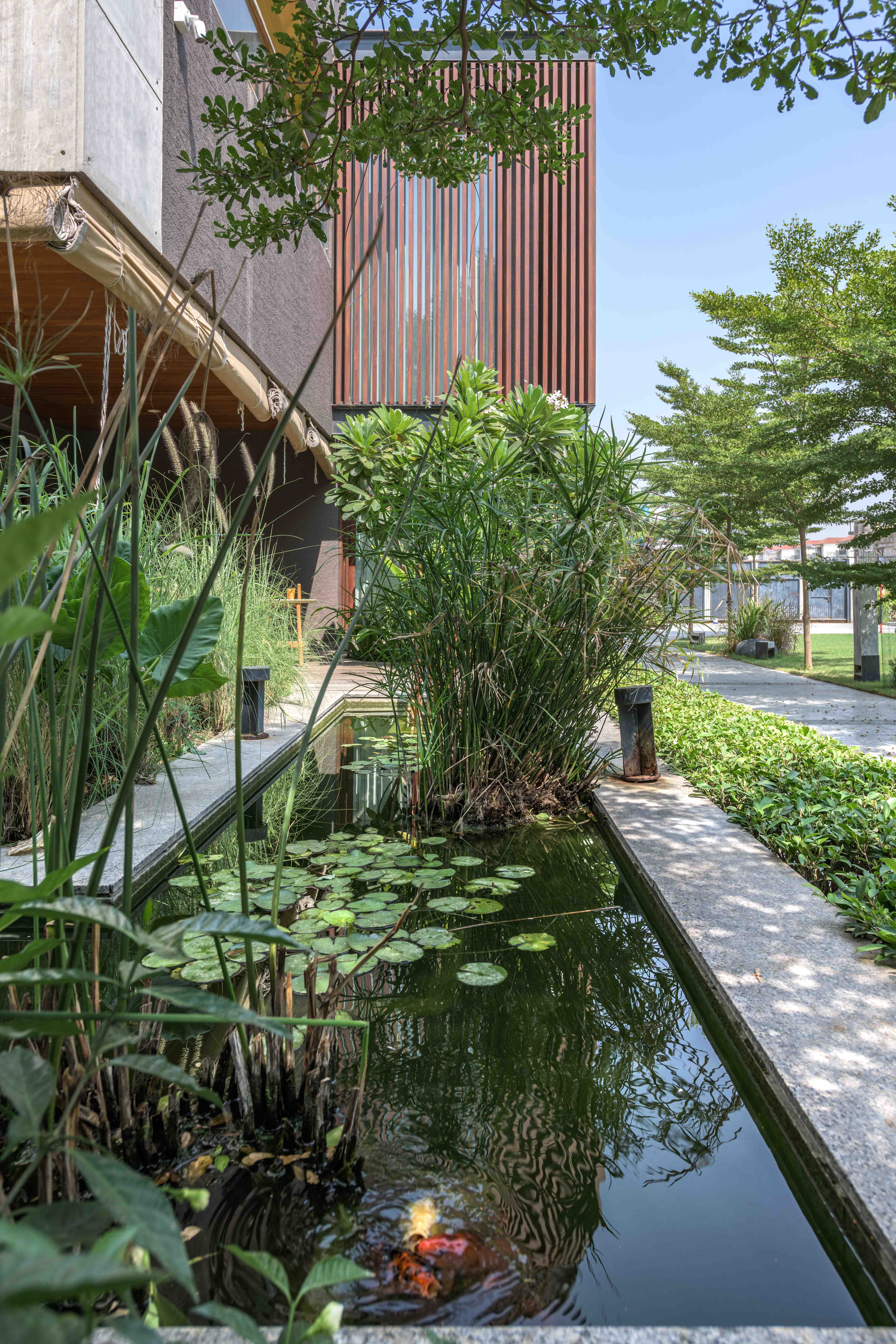 SCREEN HOUSE by tHE gRID Architects - Architizer