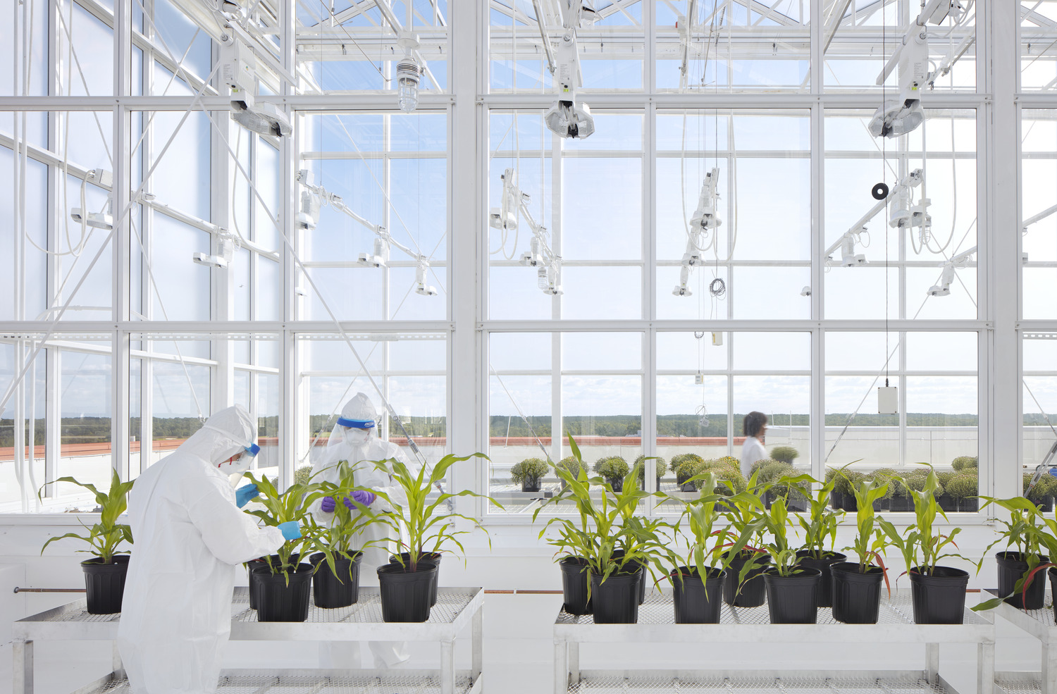 North Carolina State University Plant Sciences Building by Flad ...