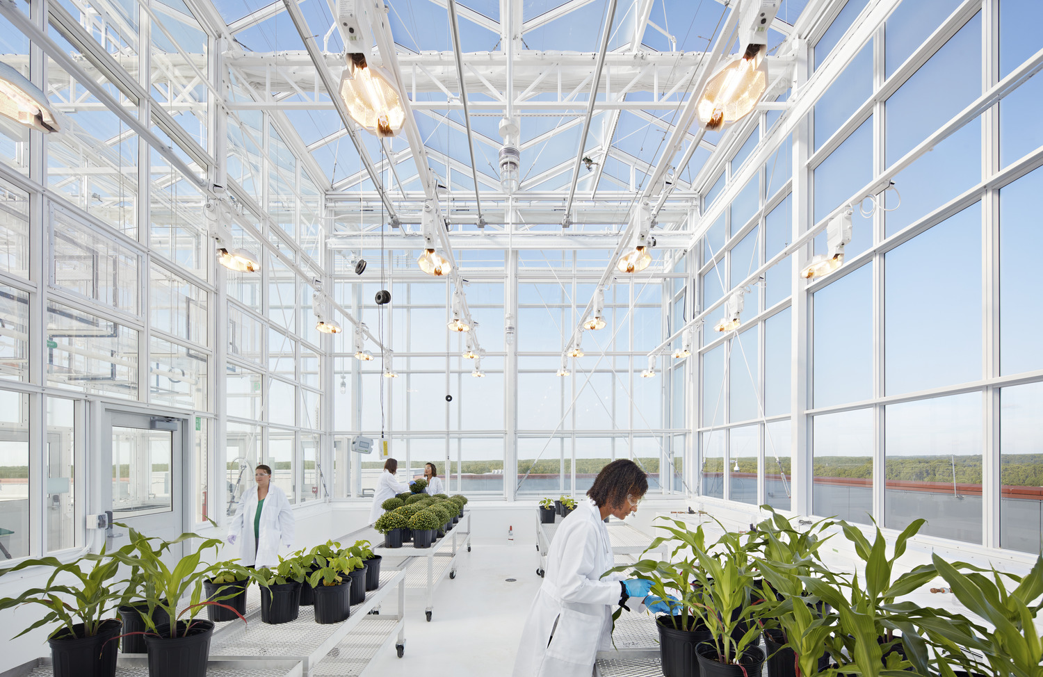 North Carolina State University Plant Sciences Building by Flad ...