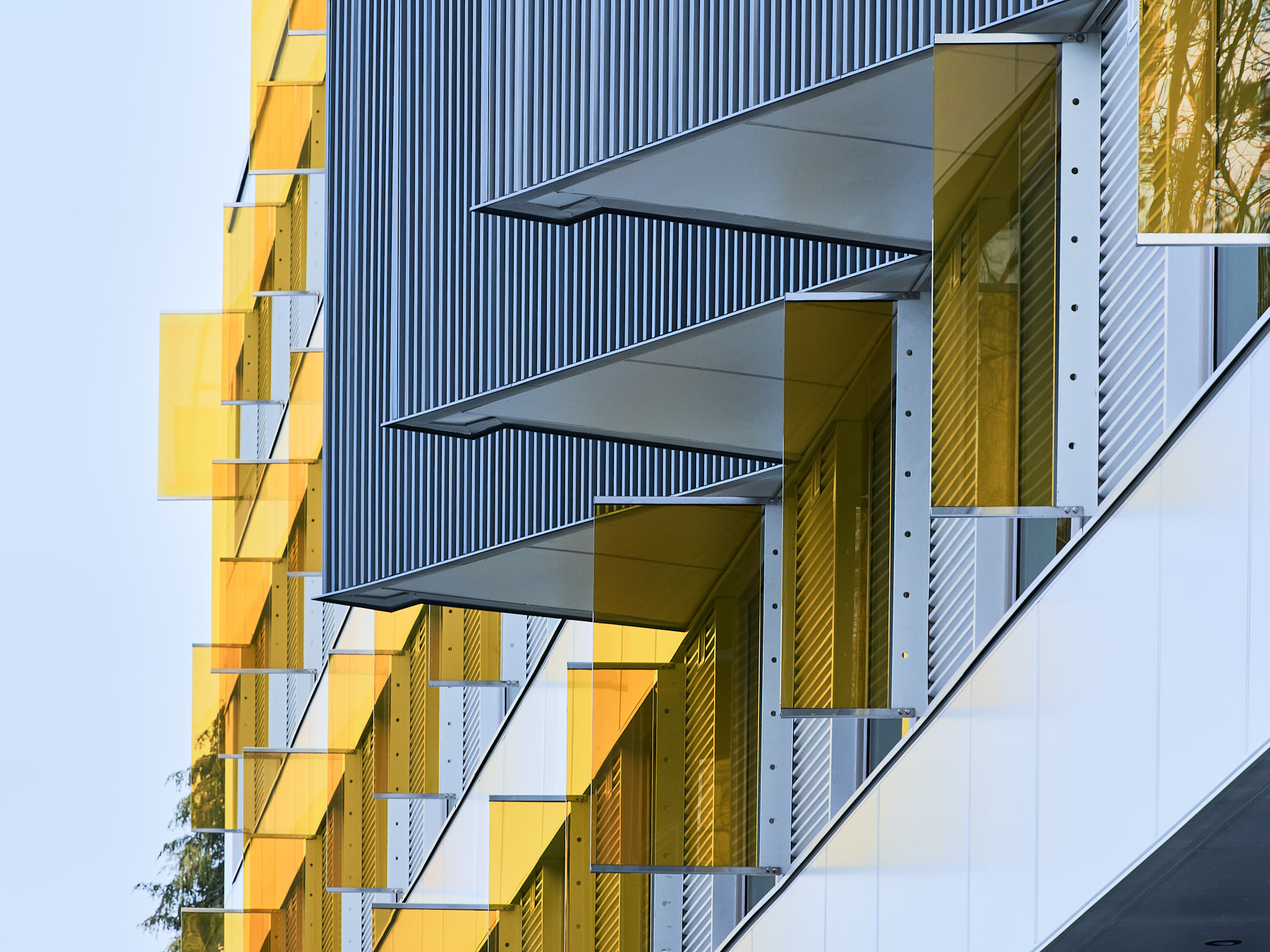 Foxglove Surrey Shelter by NSDA Architects - Architizer