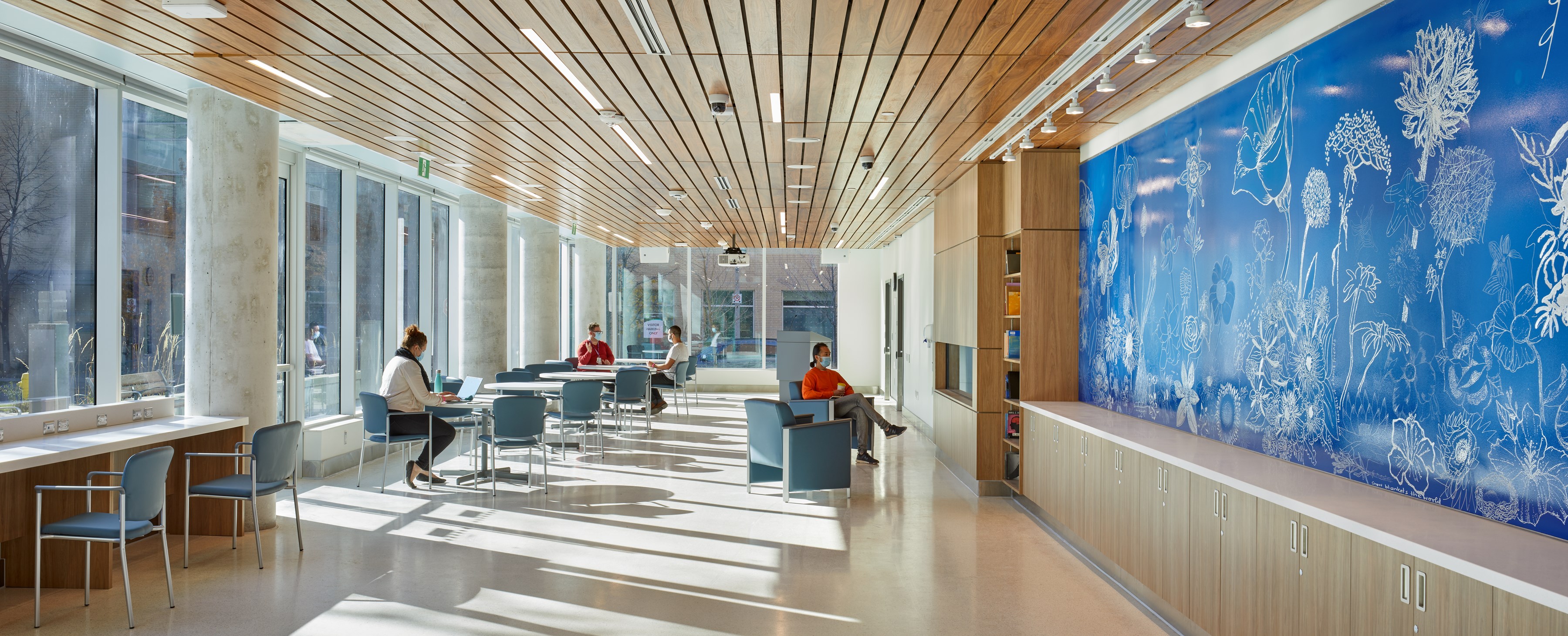 Idea 3684185: Centre for Addiction and Mental Health (CAMH) Phase 1C ...