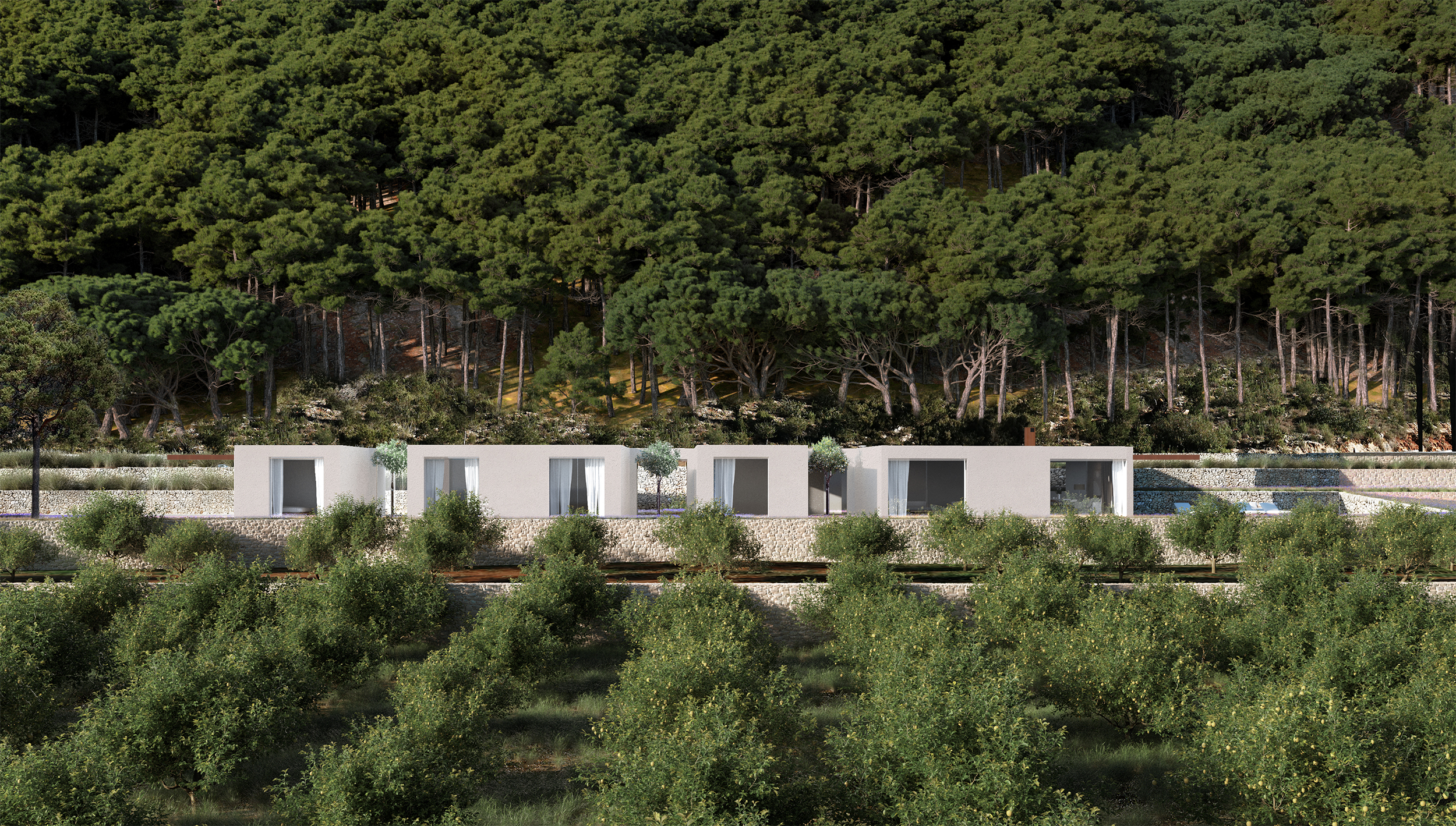 Can Marín House by David Calvo Arquitectos - Architizer