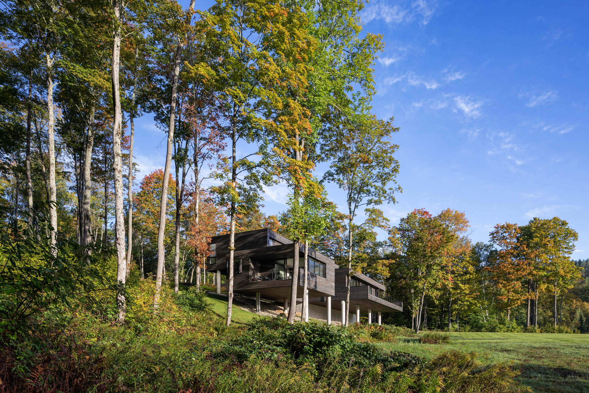 Terrapin by Birdseye - Architizer