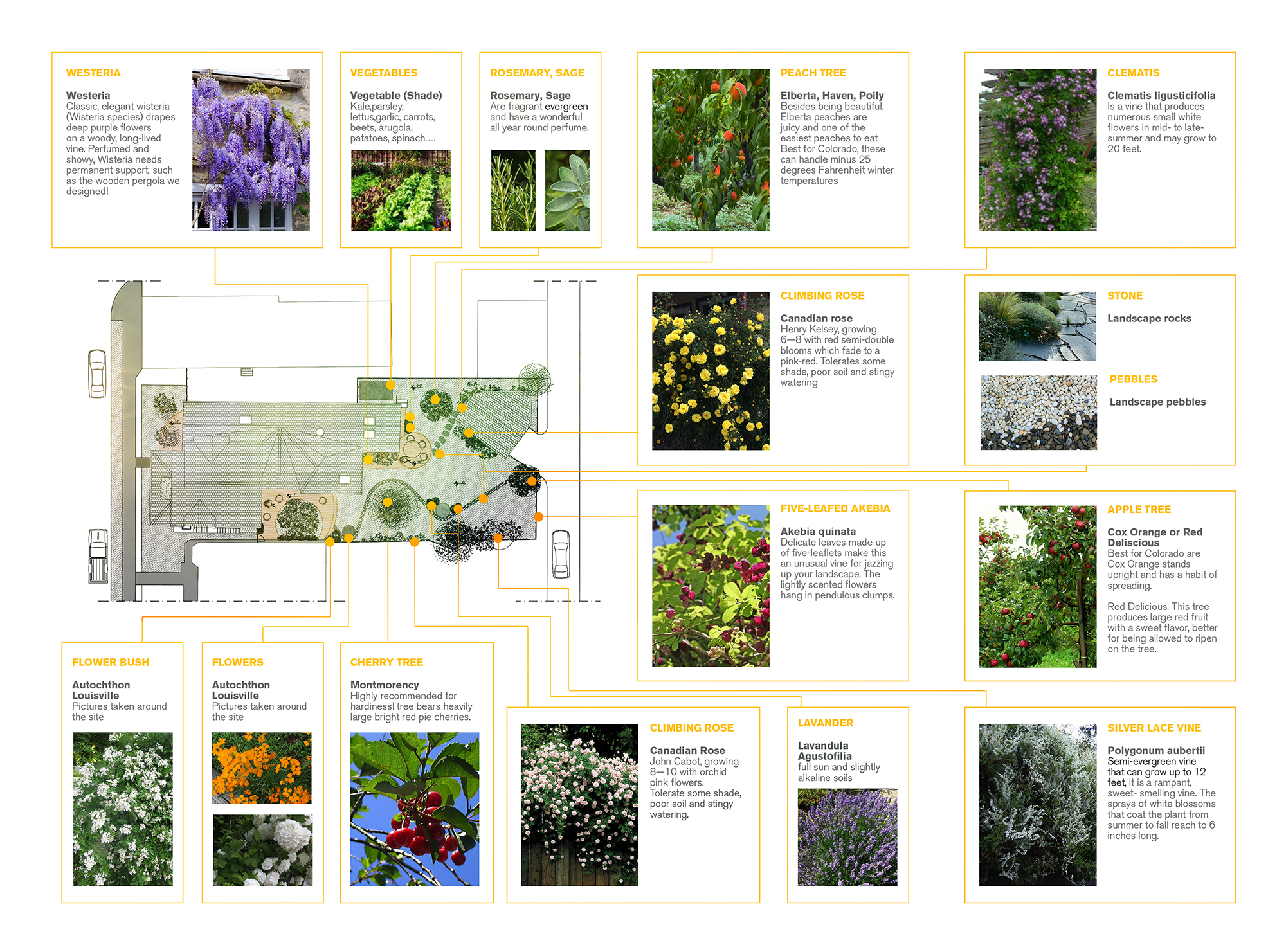 Reel House by Matteo Cainer Architecture - Architizer