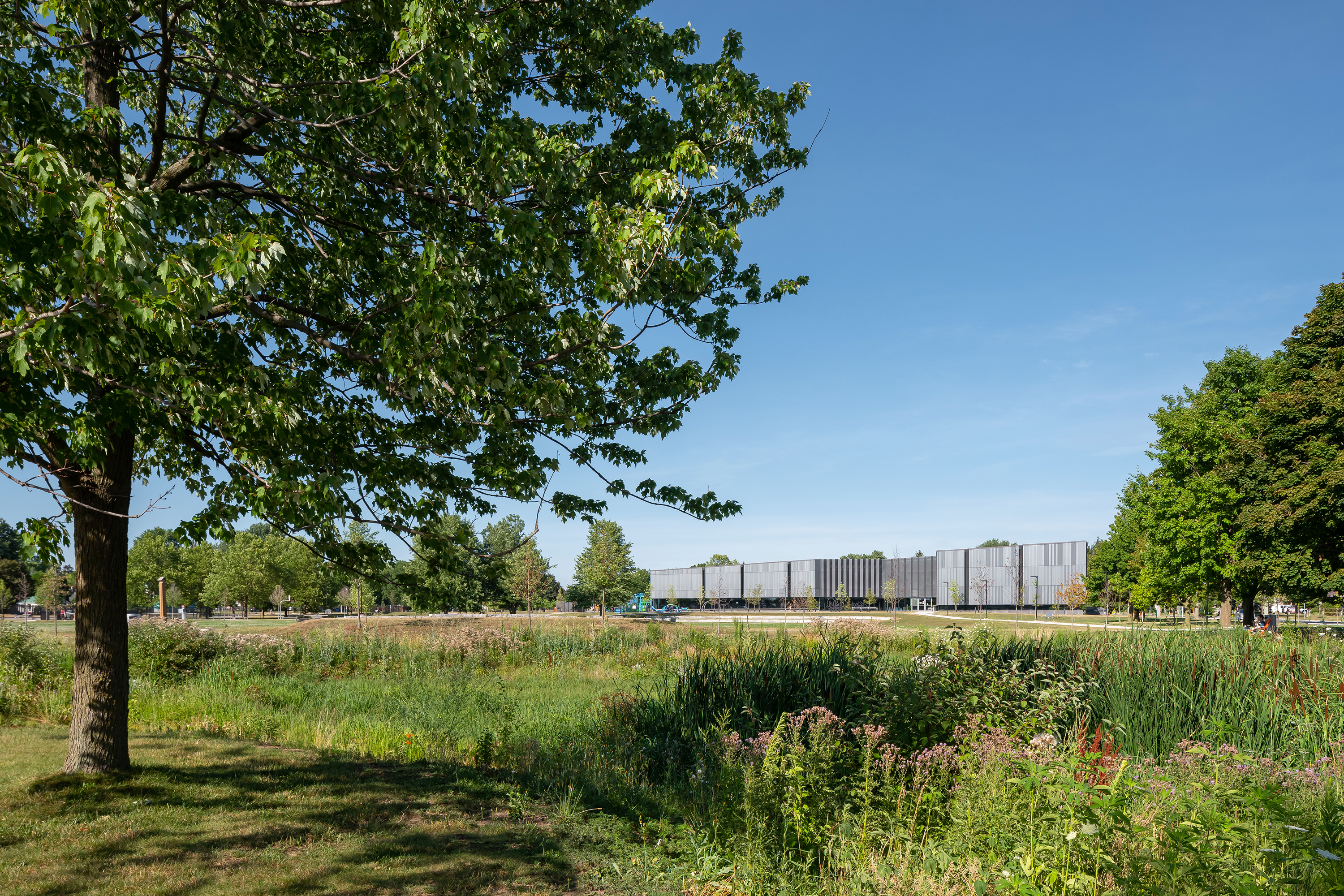East Lions Community Centre by MJMA Architecture & Design - Architizer
