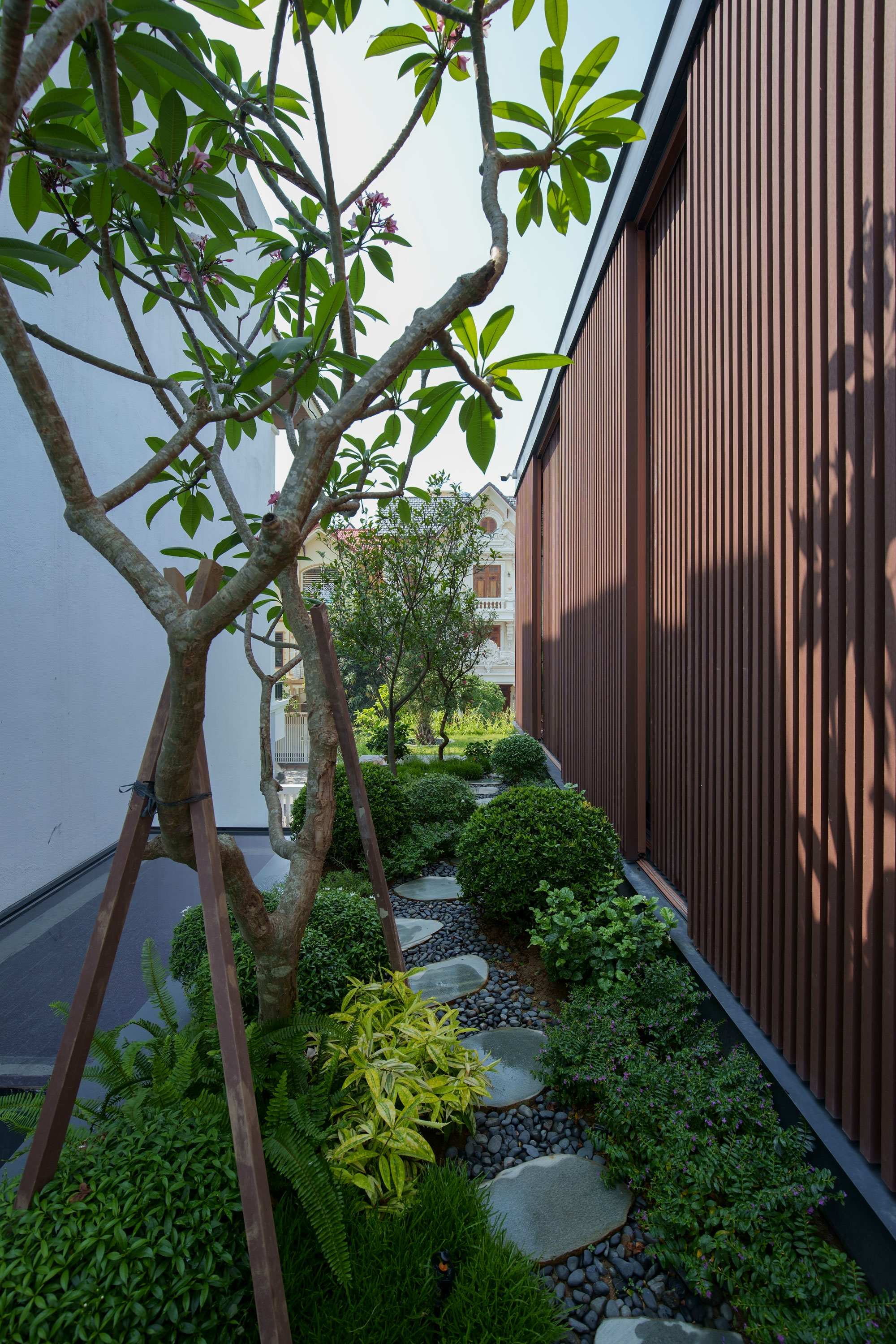 TM House by 85 Design - Architizer