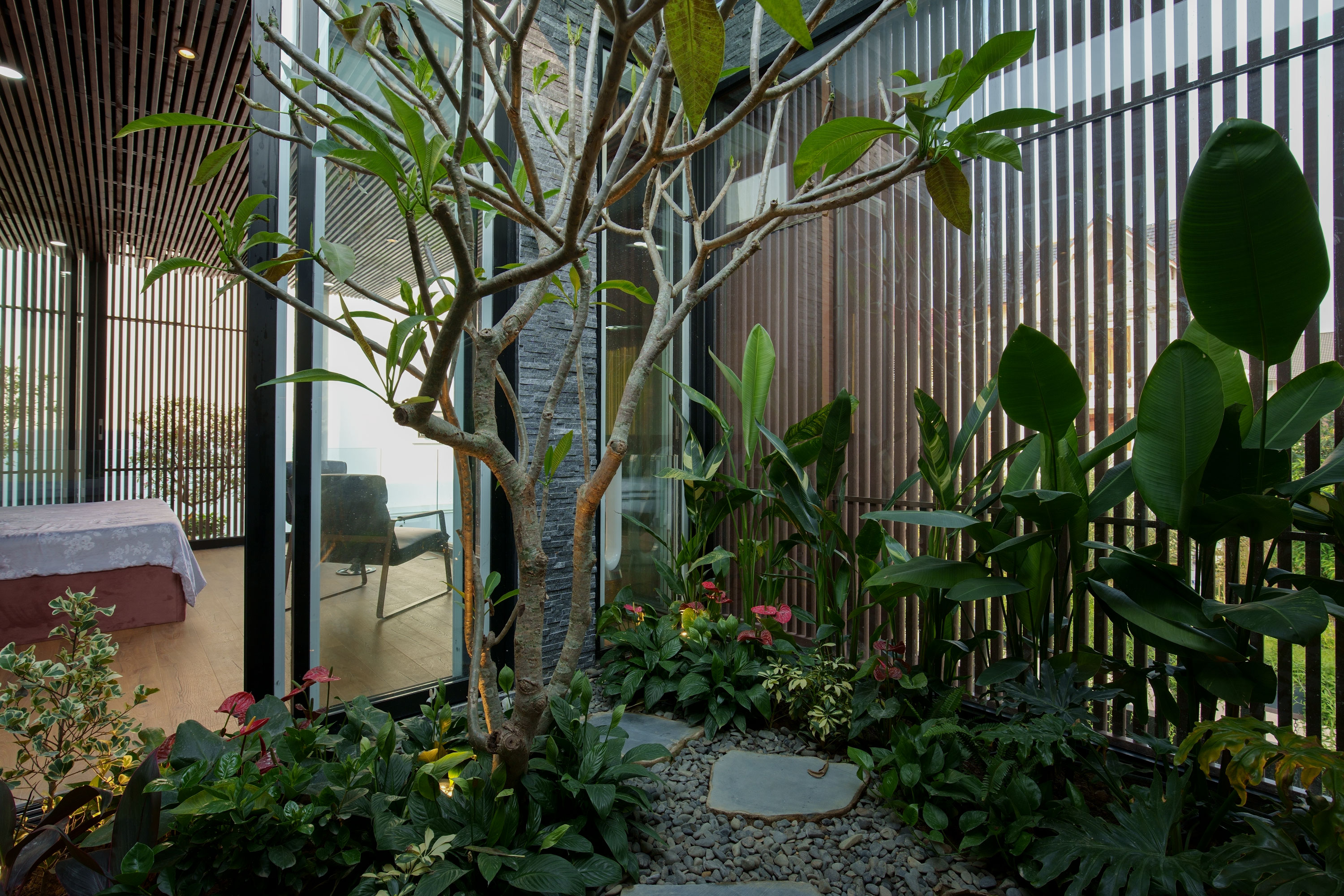 TM House by 85 Design - Architizer