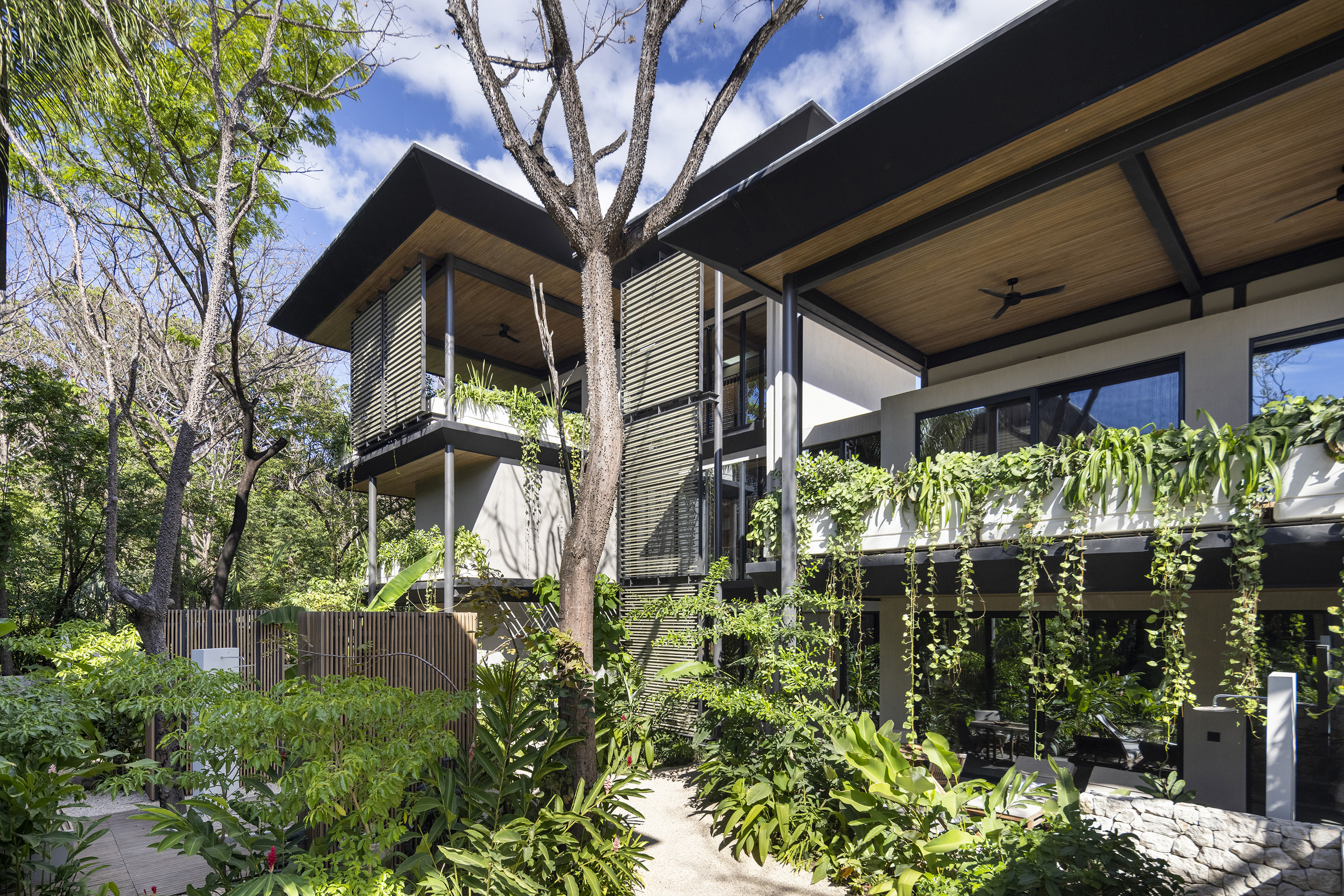 Studio Saxe - Architizer