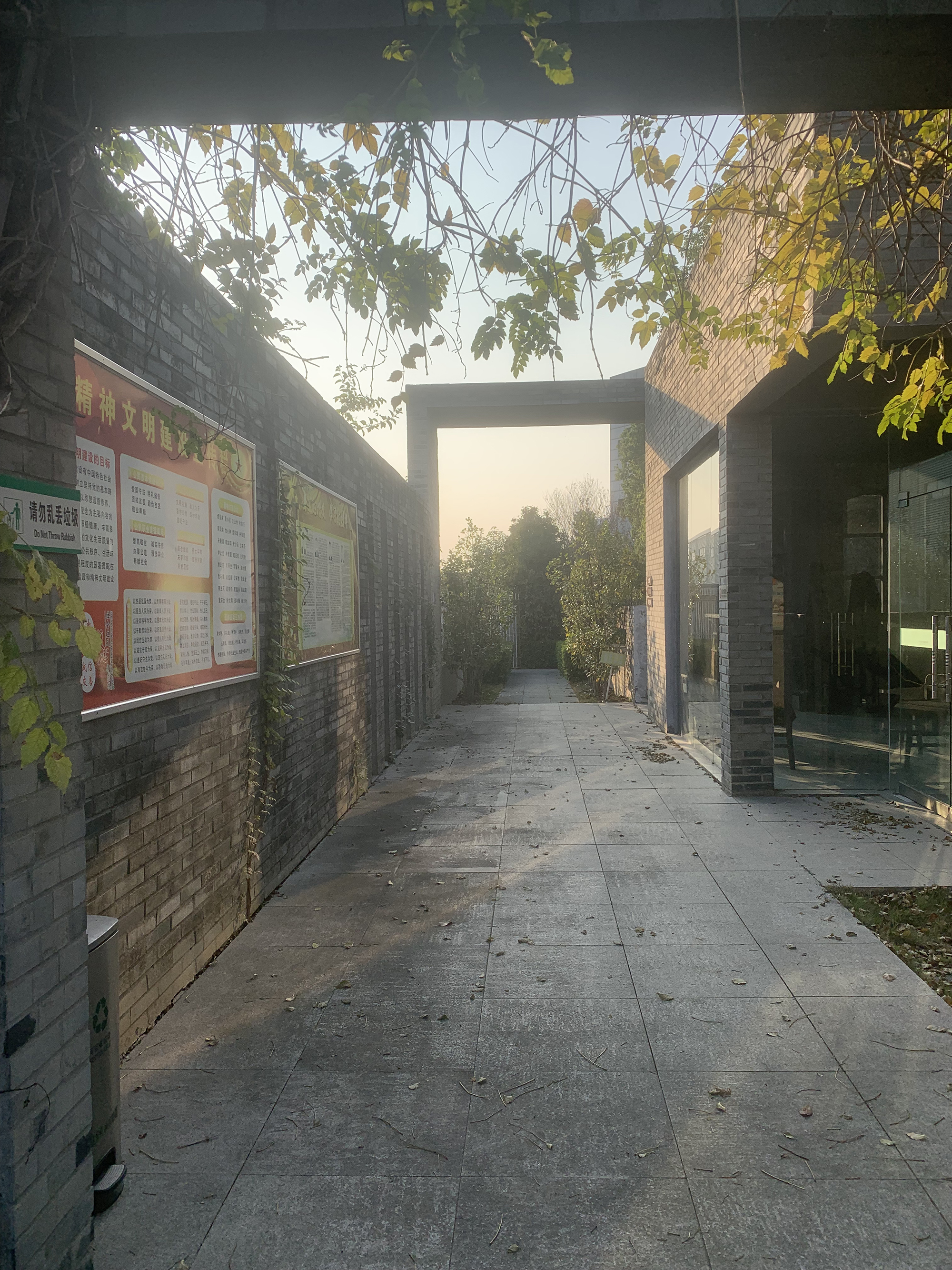 Shayang Rapeseed Museum · Archives and Site Renovation by LUO studio ...
